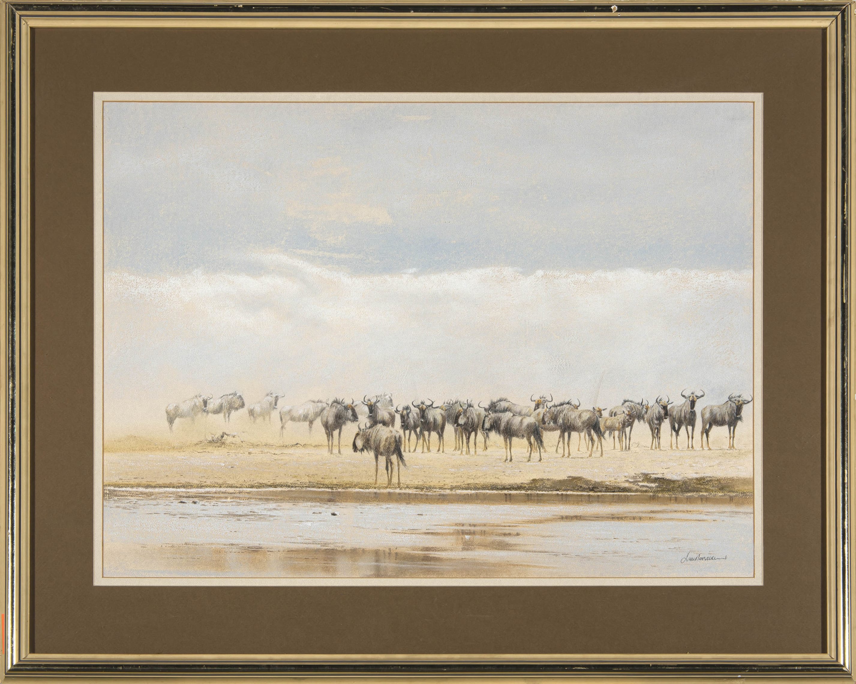 Wildebeeste by Kim Donaldson | Strauss & Co