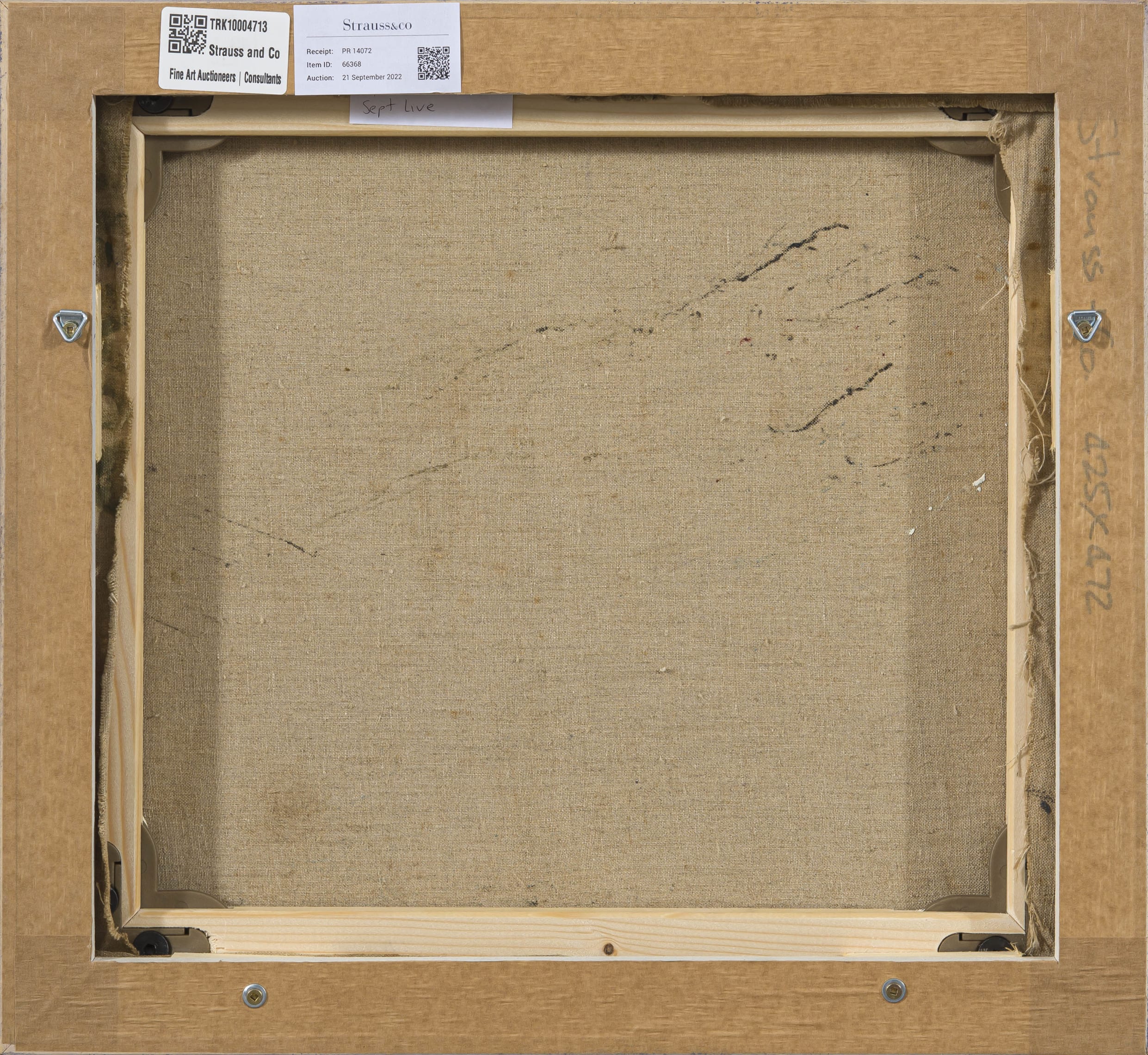 Skull by Albert Adams | Strauss & Co