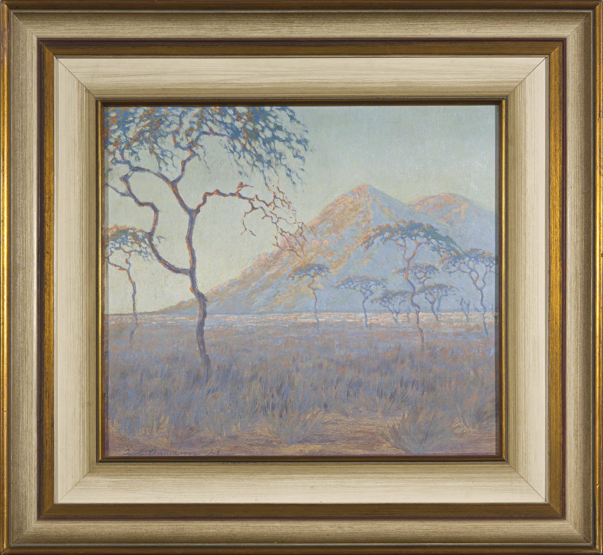 Omatako Mountains, Namibia by Carl Ossmann | Strauss & Co