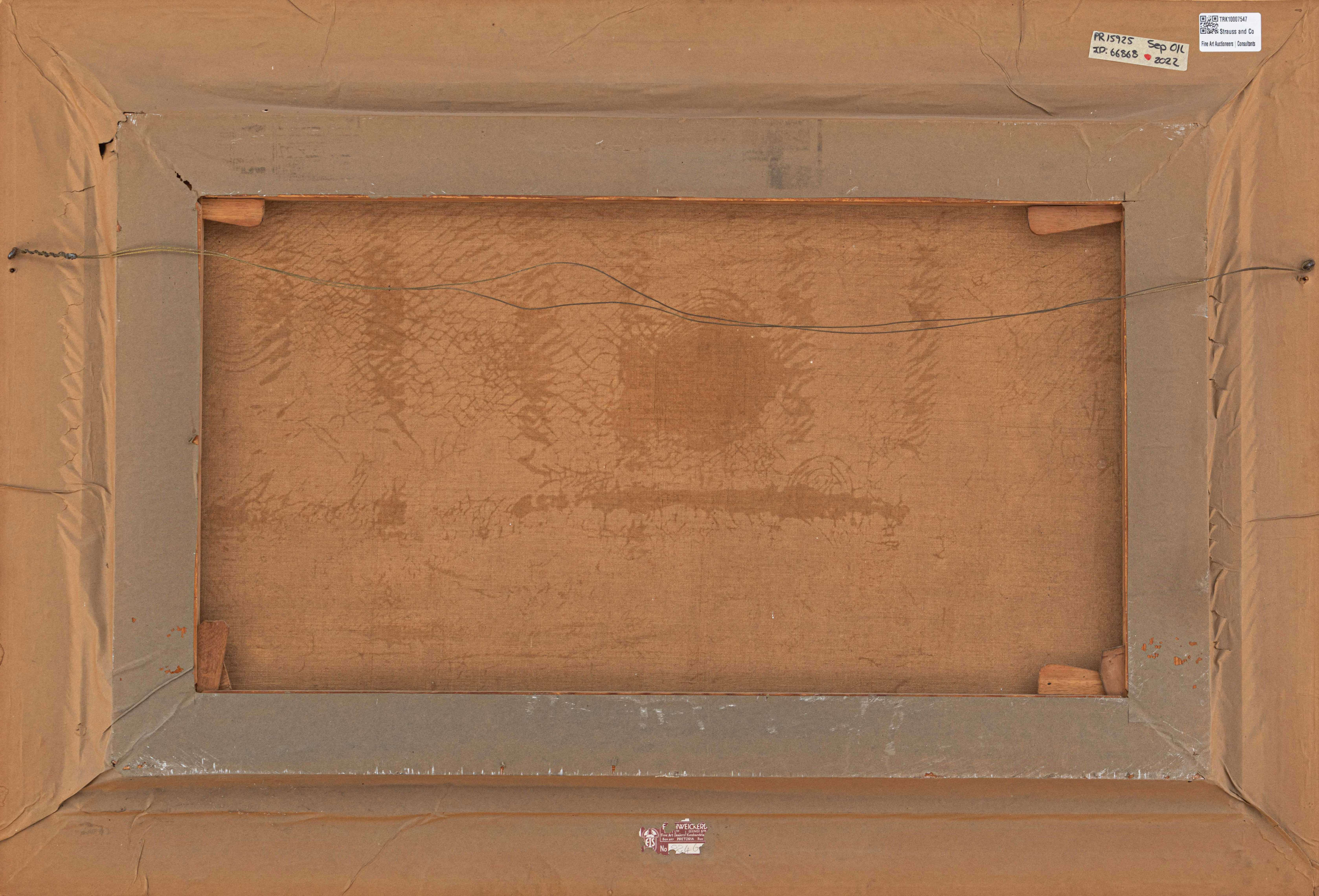 Goanikontes Oasis (Erongo Namibia) by Axel Eriksson | Strauss & Co