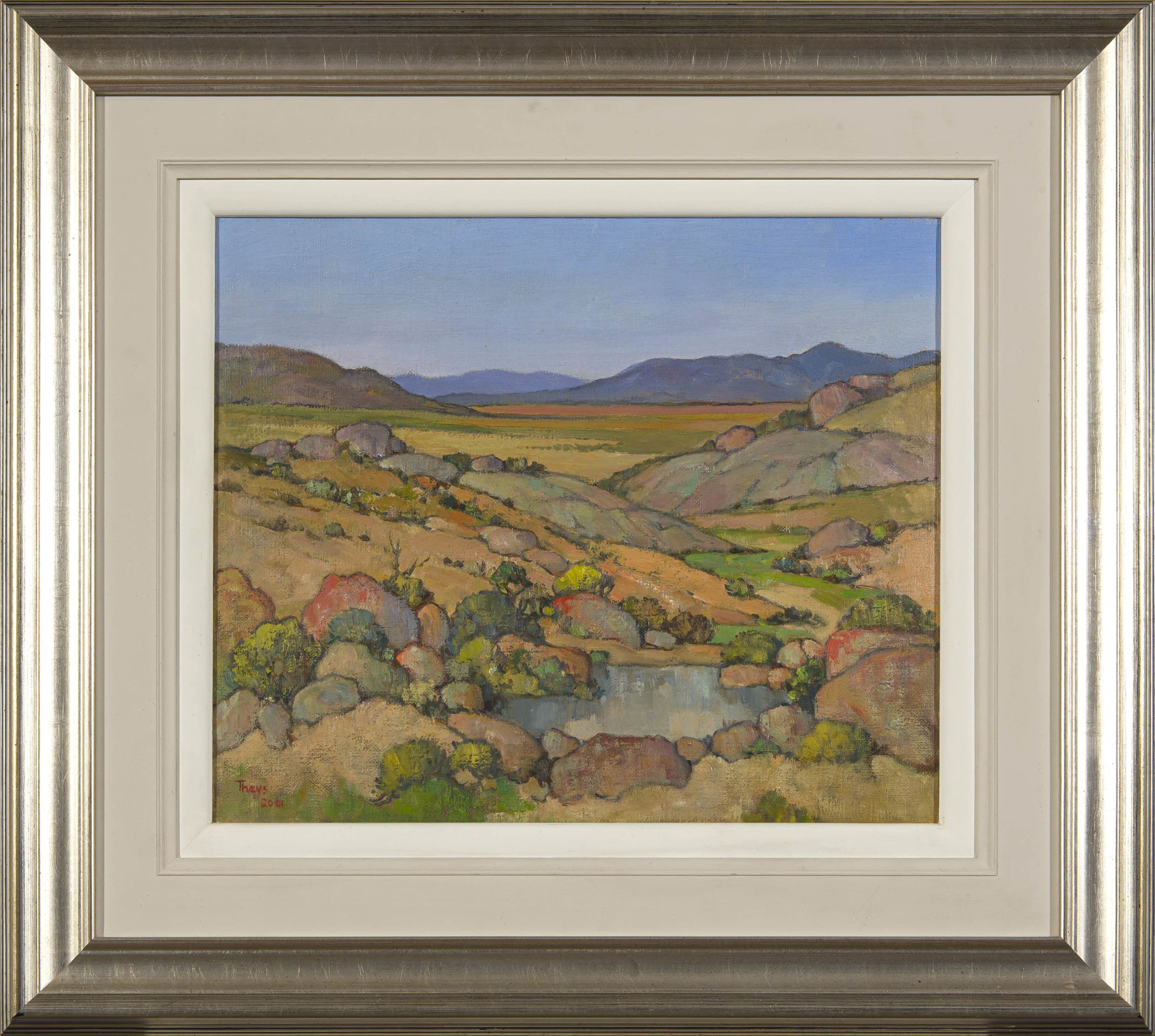 Shortly after the Rain, Namaqualand by Conrad Theys | Strauss & Co