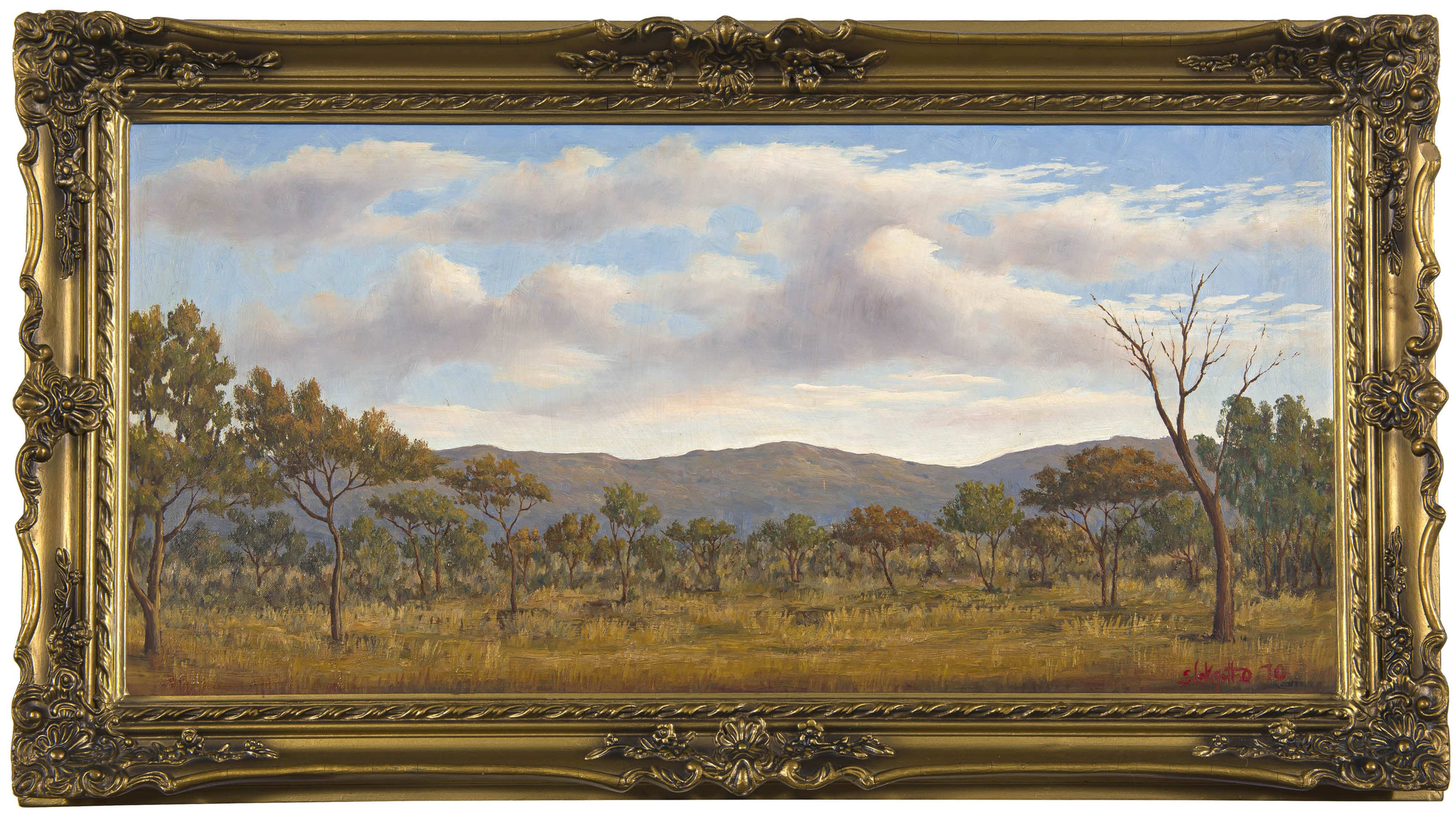 Bushveld Landscape by Simon Moroke Lekgetho | Strauss & Co