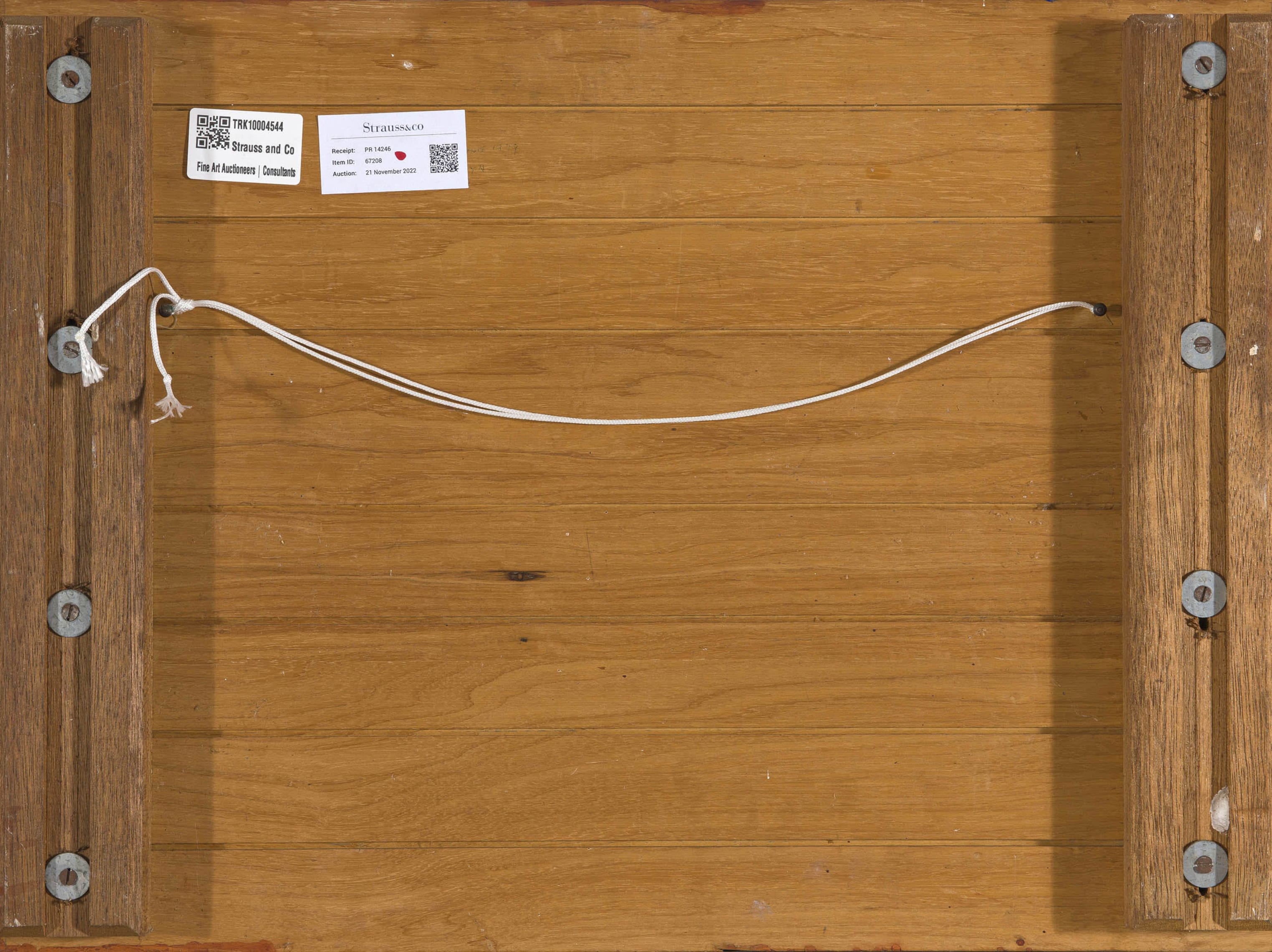 Wit Renoster (White Rhinoceros) by Raymond Andrews | Strauss & Co