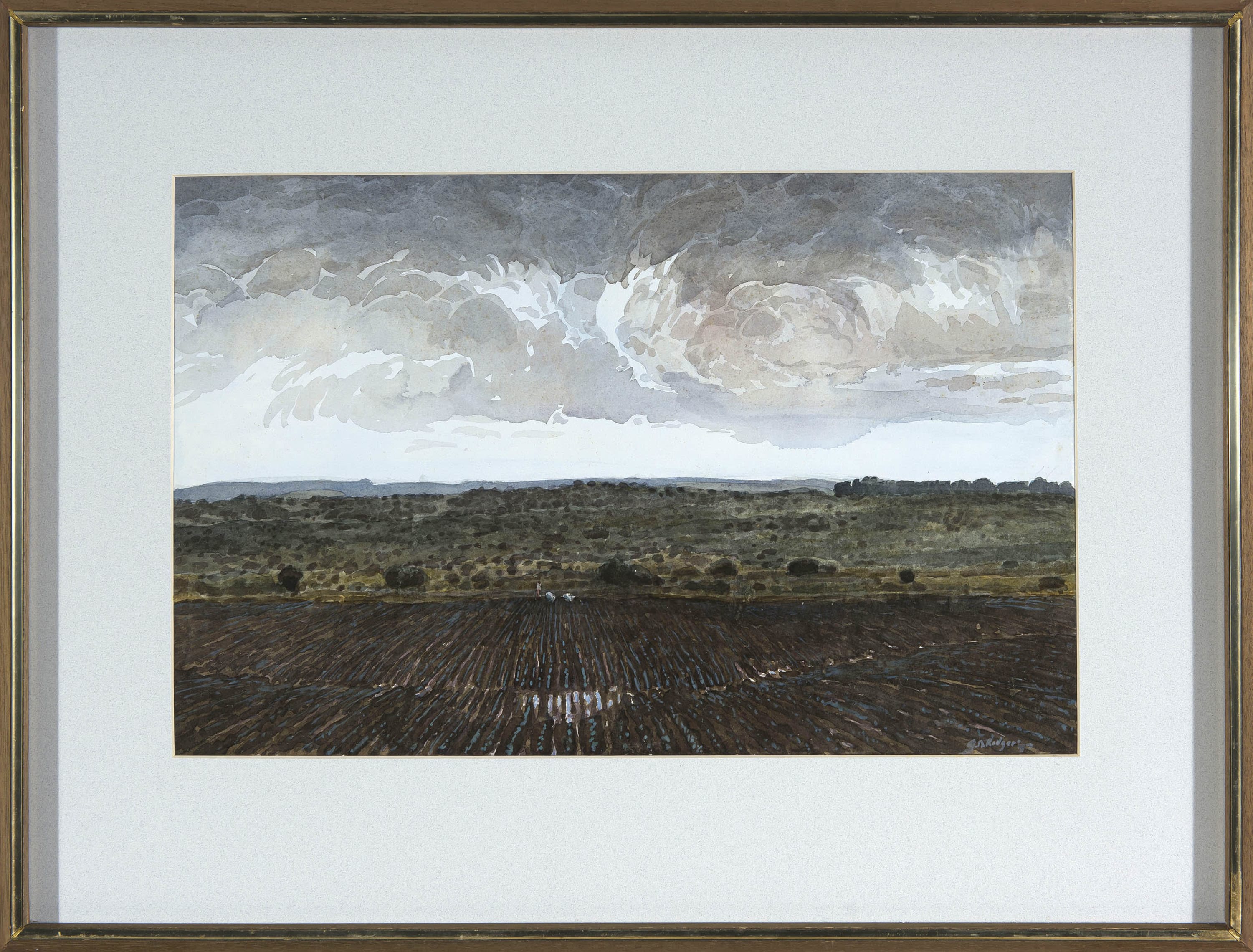 Ploughed Field, Port Alfred by Neil Rodger | Strauss & Co