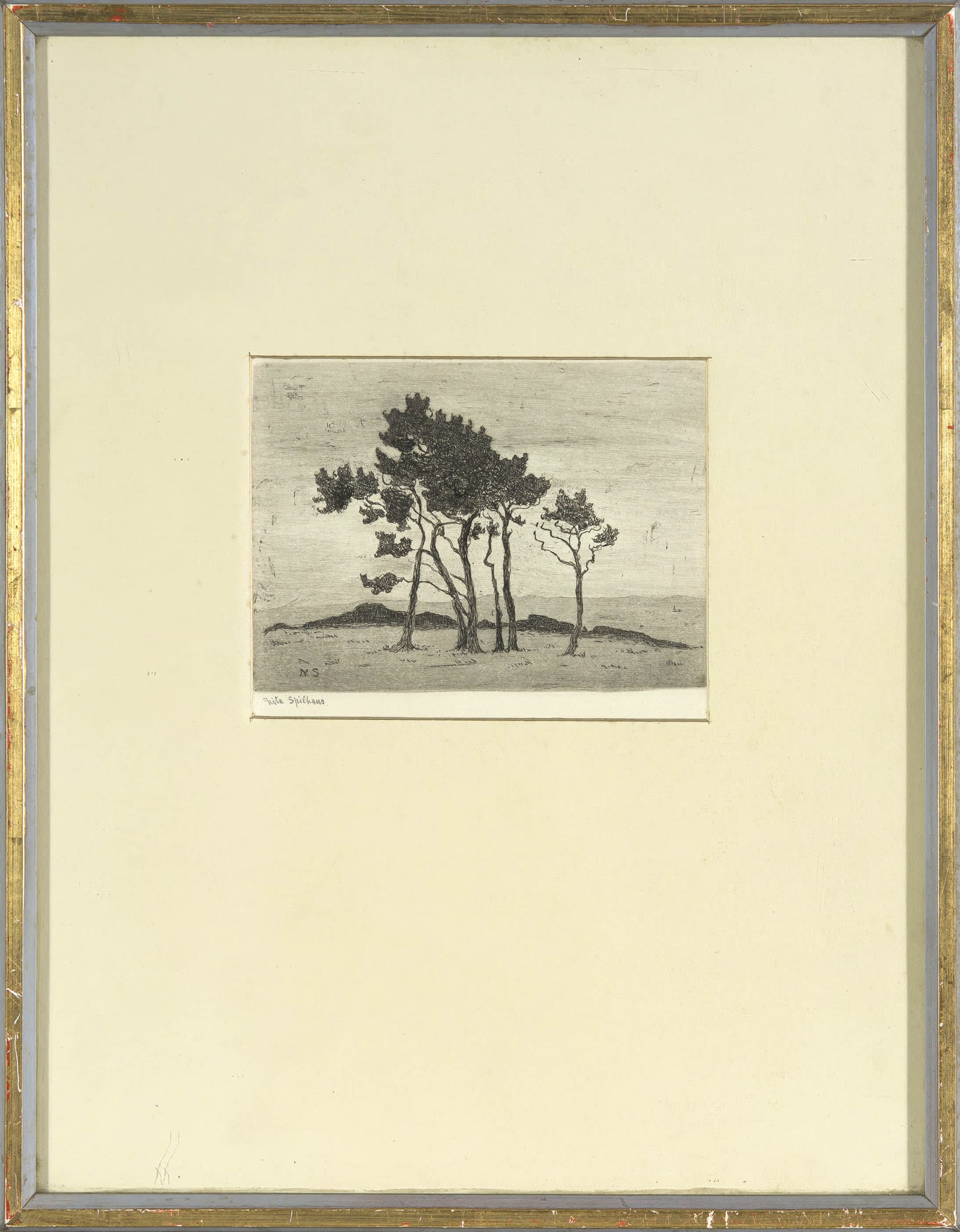Pine Trees, two by Nita Spilhaus | Strauss & Co