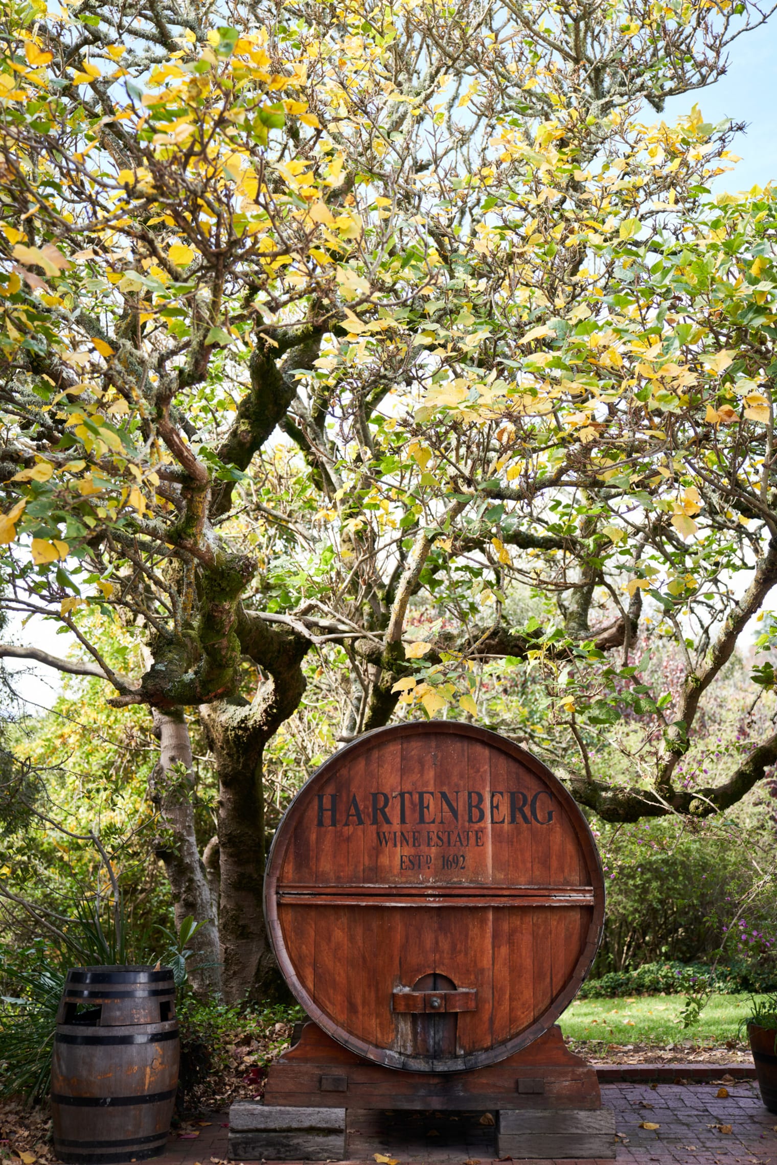 2020 CWG Amphora Merlot 36 (6 x 6) 750ml by Hartenberg Wine Estate ...