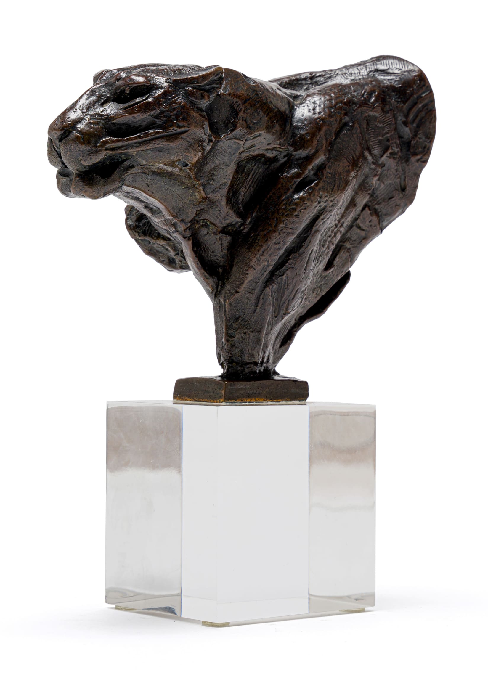 Stalking Leopard Maquette by Dylan Lewis | Strauss & Co