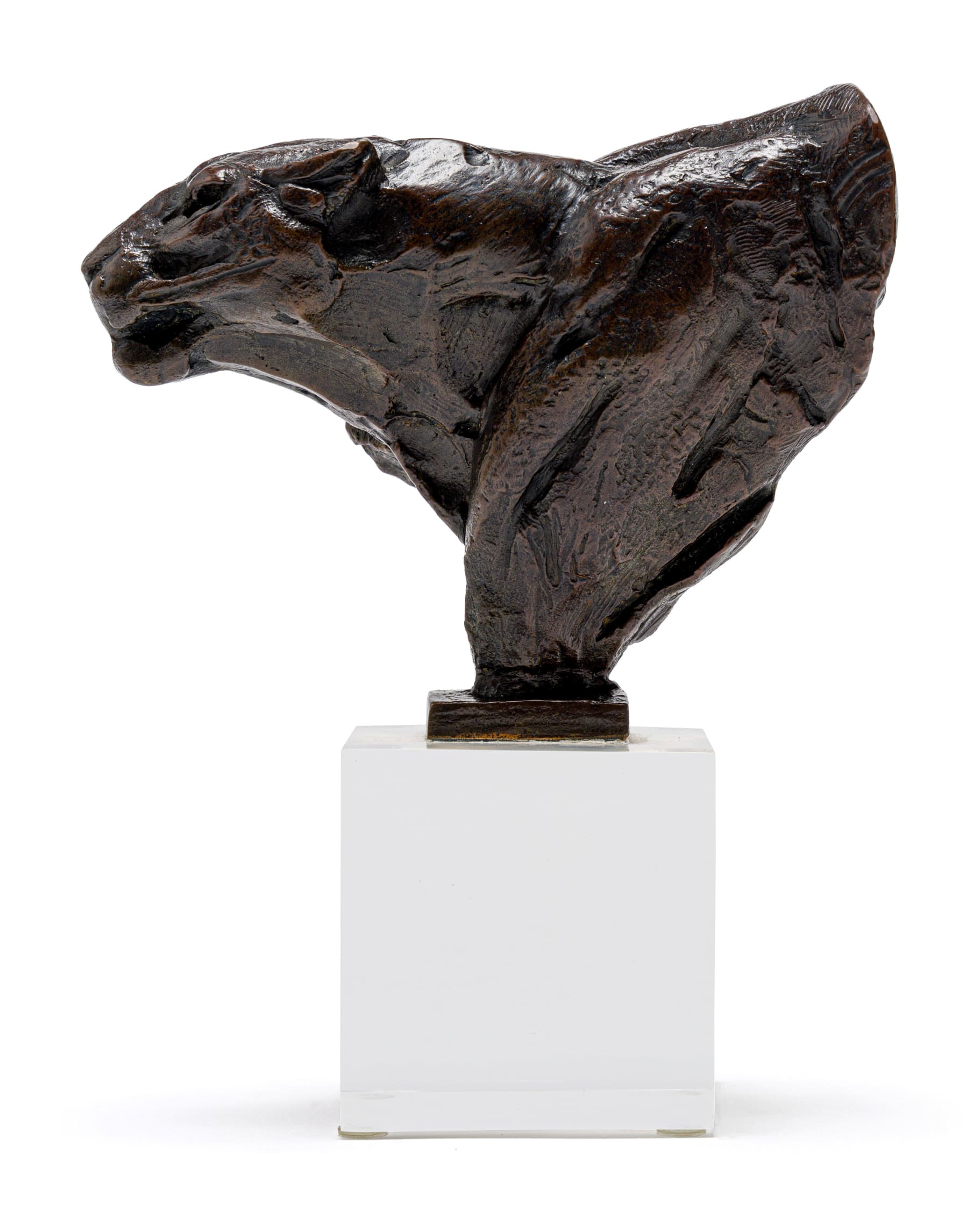 Stalking Leopard Maquette by Dylan Lewis | Strauss & Co