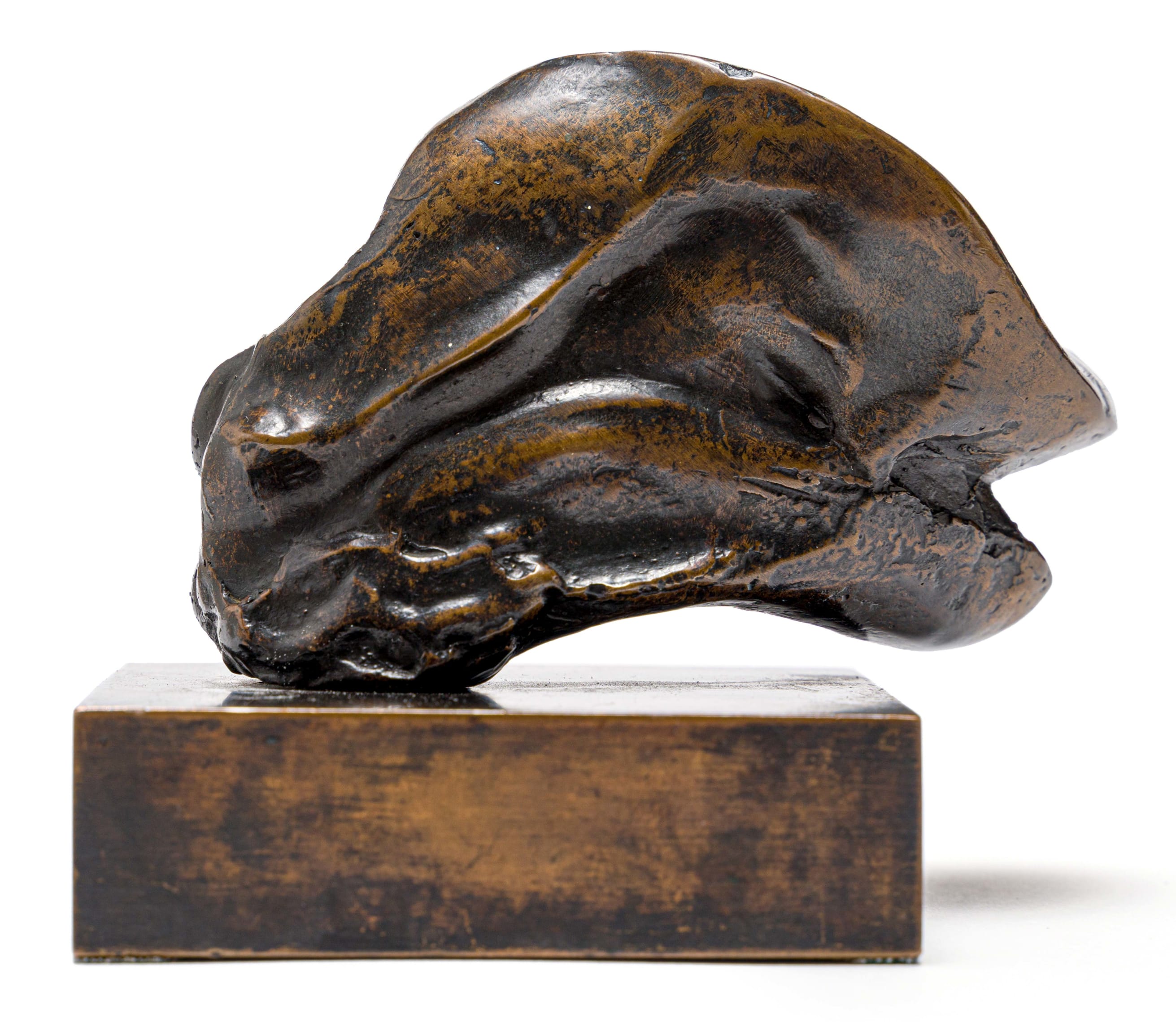 Animal Head: Open Mouth by Henry Moore | Strauss & Co