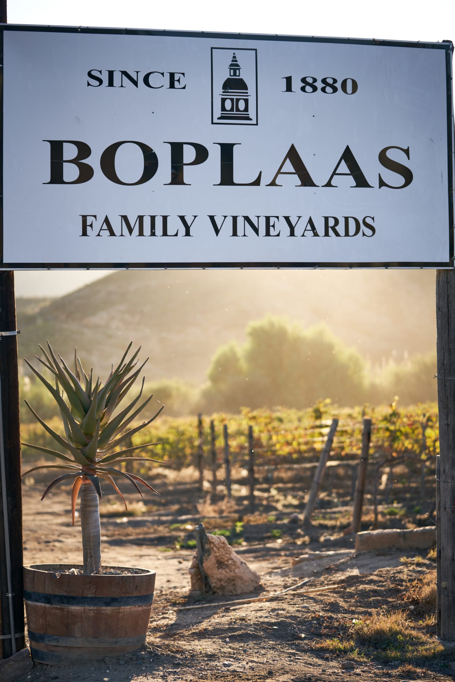 2020 CWG Daniel's Legacy 24 (4 x 6) 750ml by Boplaas Family Vineyards ...