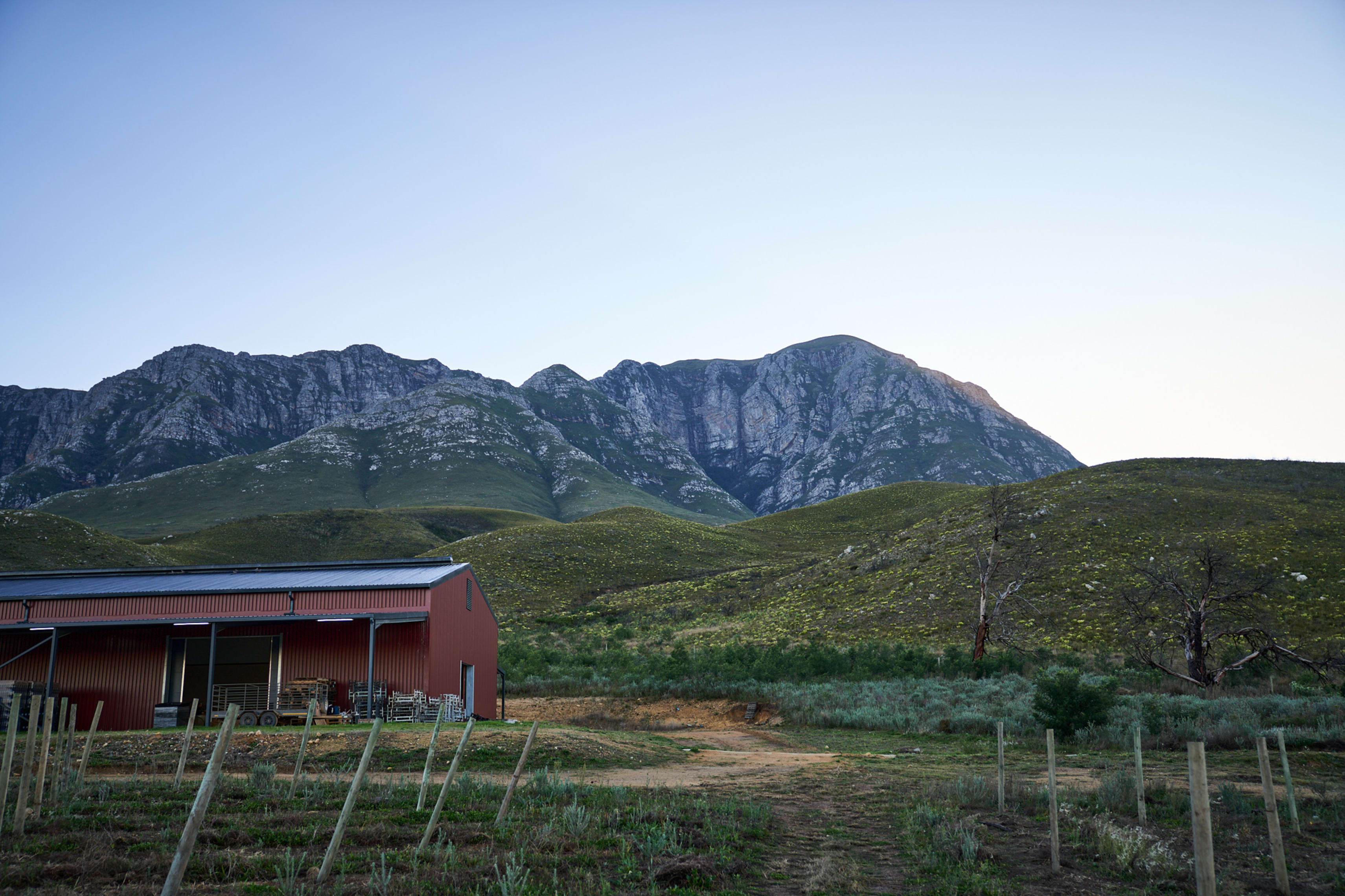 2021 Valkyrie Chardonnay 36 (6 x 6) 750ml by Lismore Estate Vineyards ...