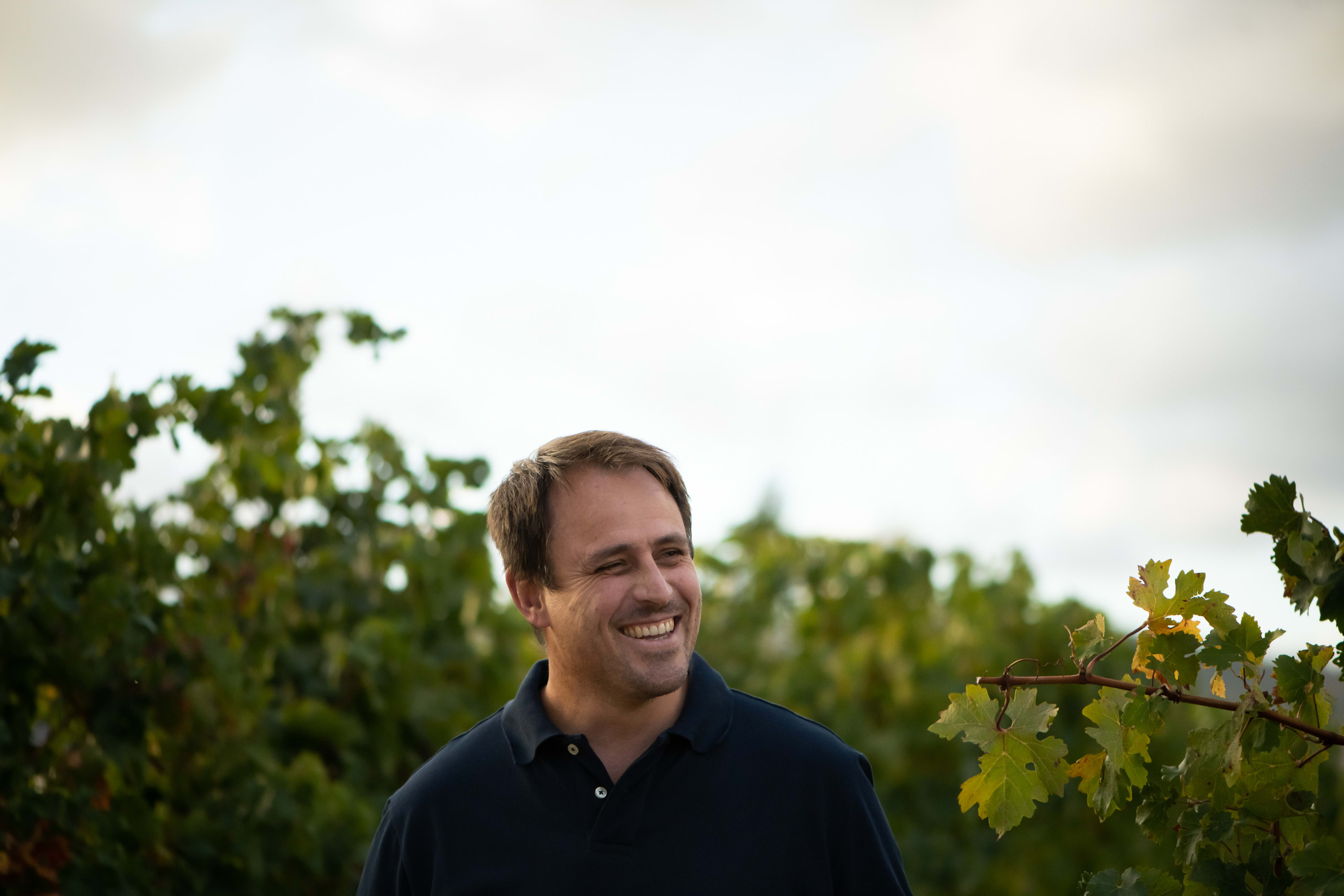 Jonkershoek Cabernet Sauvignon 2018 12 (2 x 6) 750ml by Neil Ellis ...