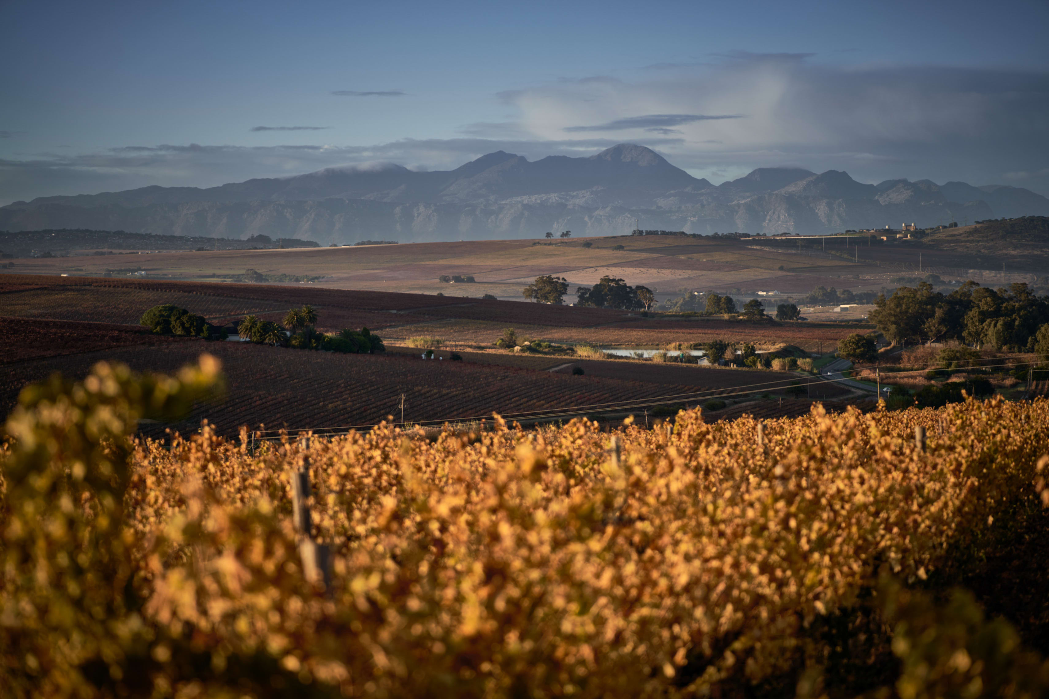 The Fountain Terroir Specific Chenin Blanc 2021 24 (4 x 6) 750ml by ...