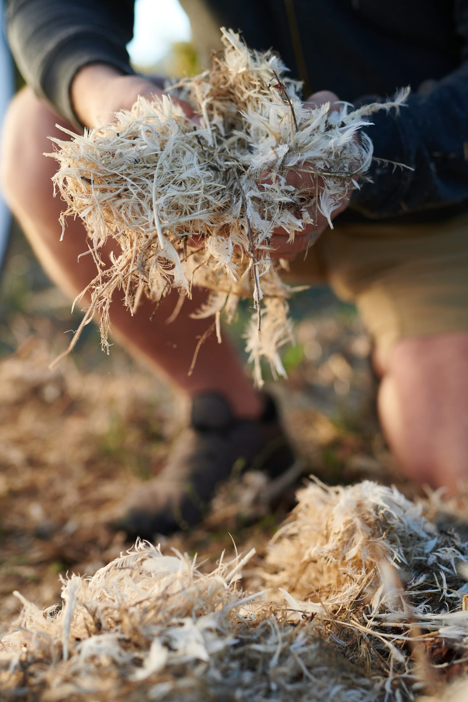 2018 Frans K Smit CWG Special Edition 36 (6 x 6) 750ml by Spier Wines ...