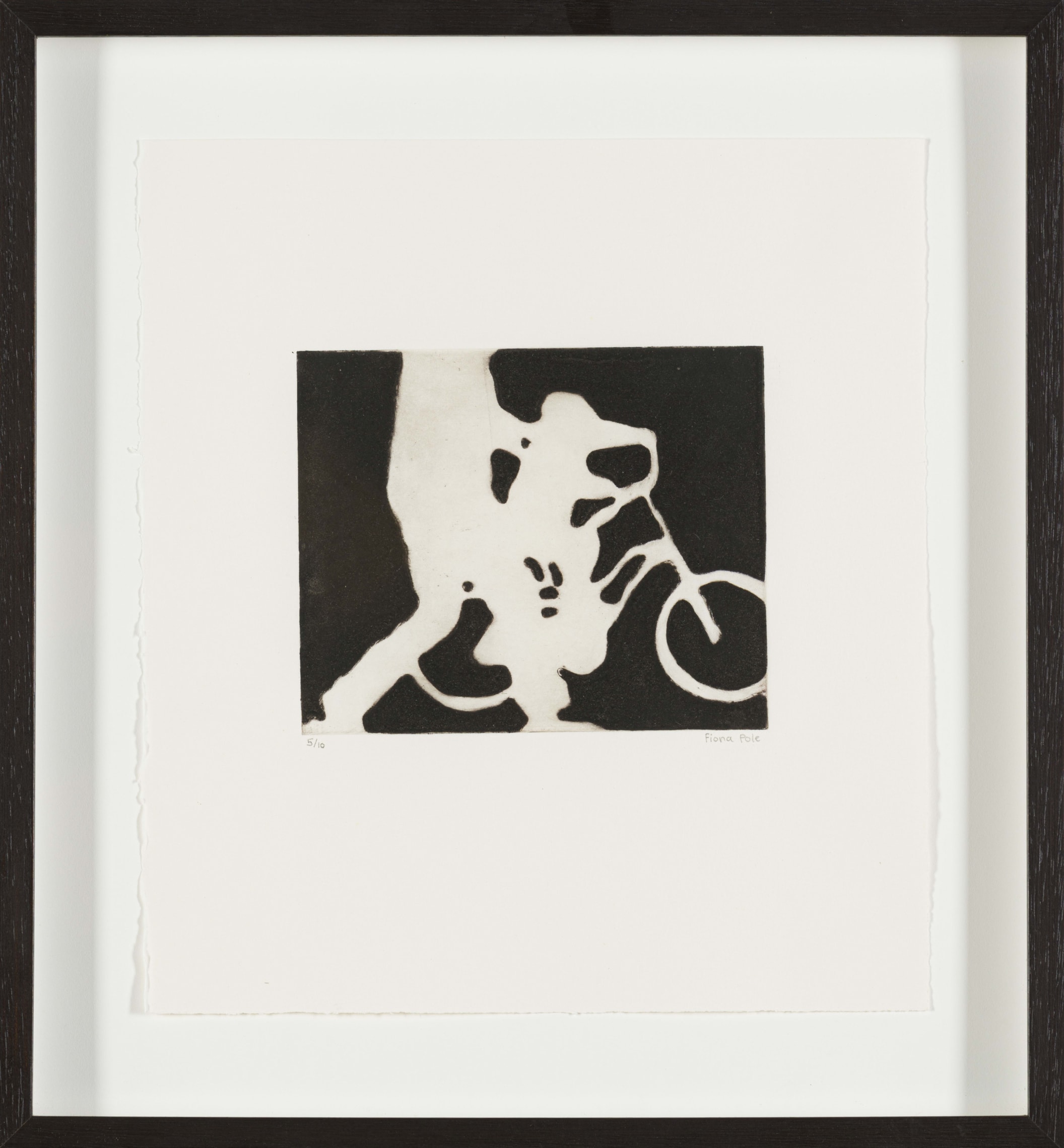 Bicycle by Fiona Pole | Strauss & Co