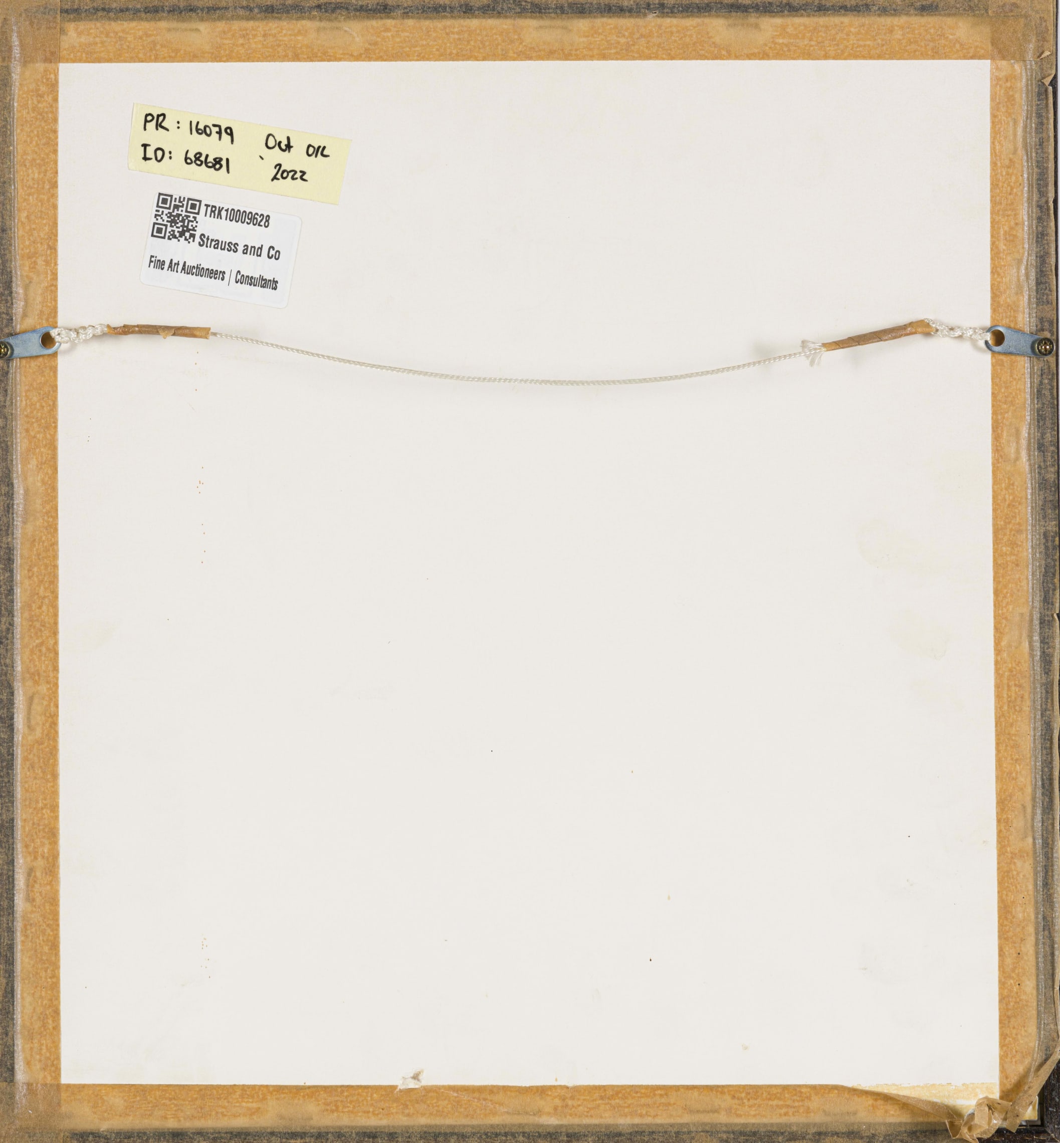 Bicycle by Fiona Pole | Strauss & Co