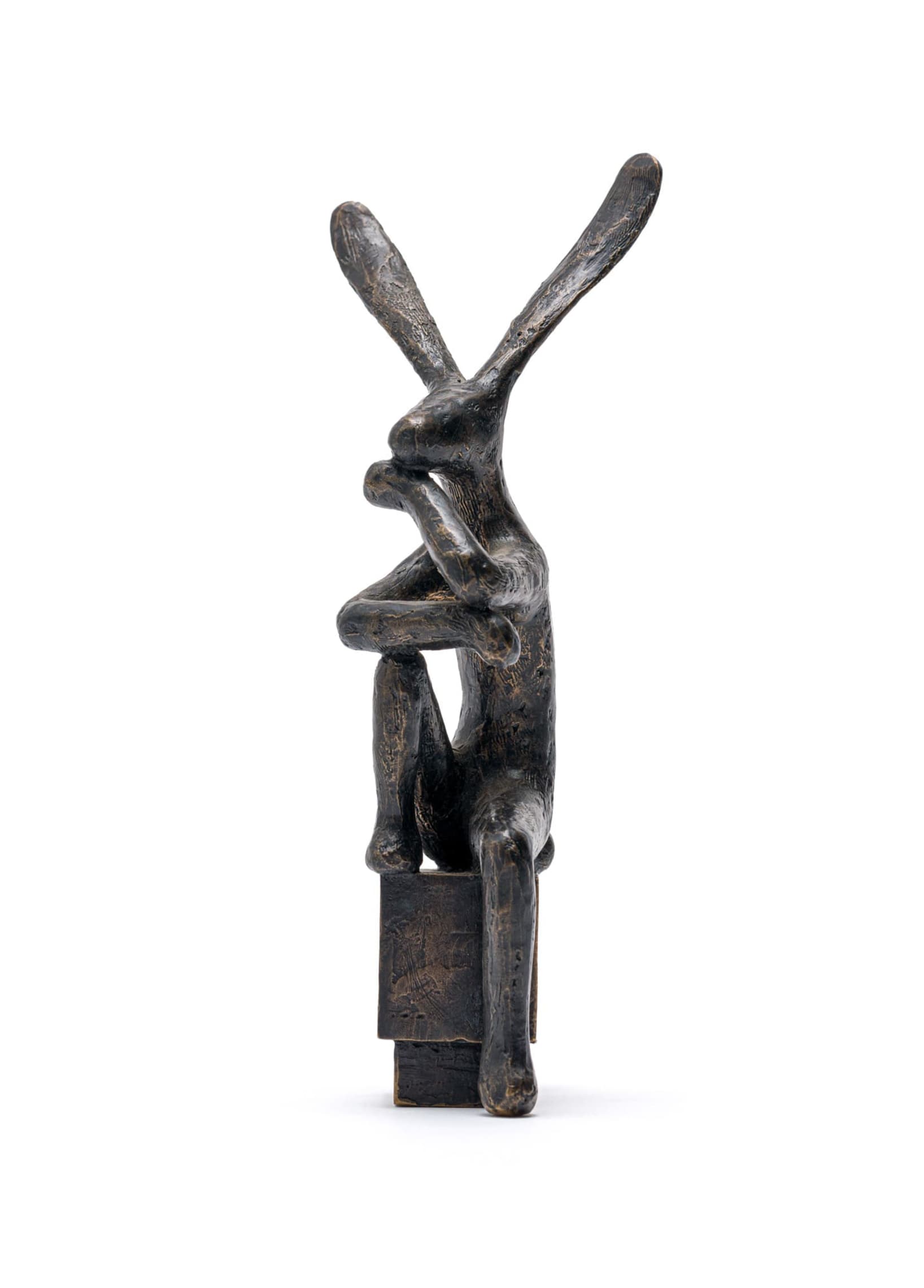 Thinking Hare by Guy du Toit | Strauss & Co