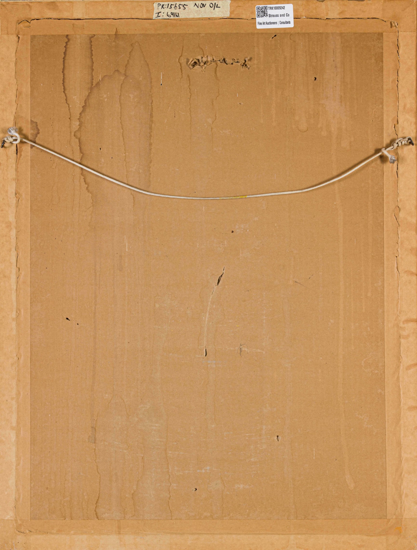 Untitled (Rhinoceros Beetle) by Judith Mason | Strauss & Co