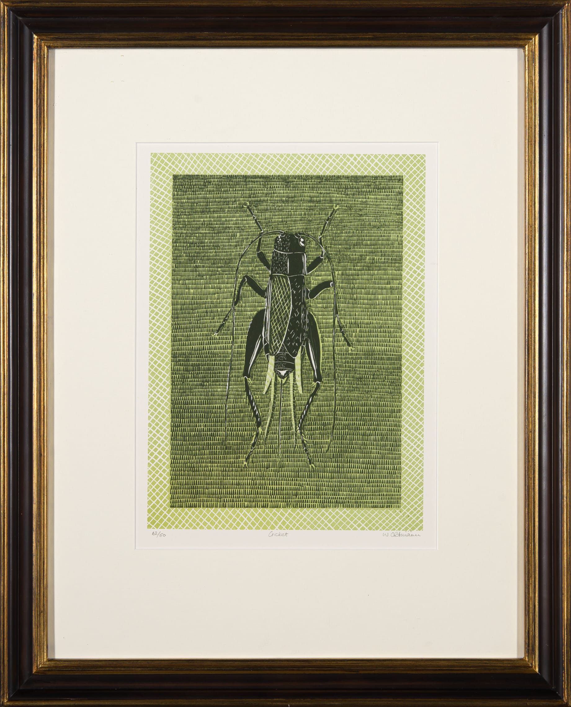 Cricket by Walter Oltmann | Strauss & Co