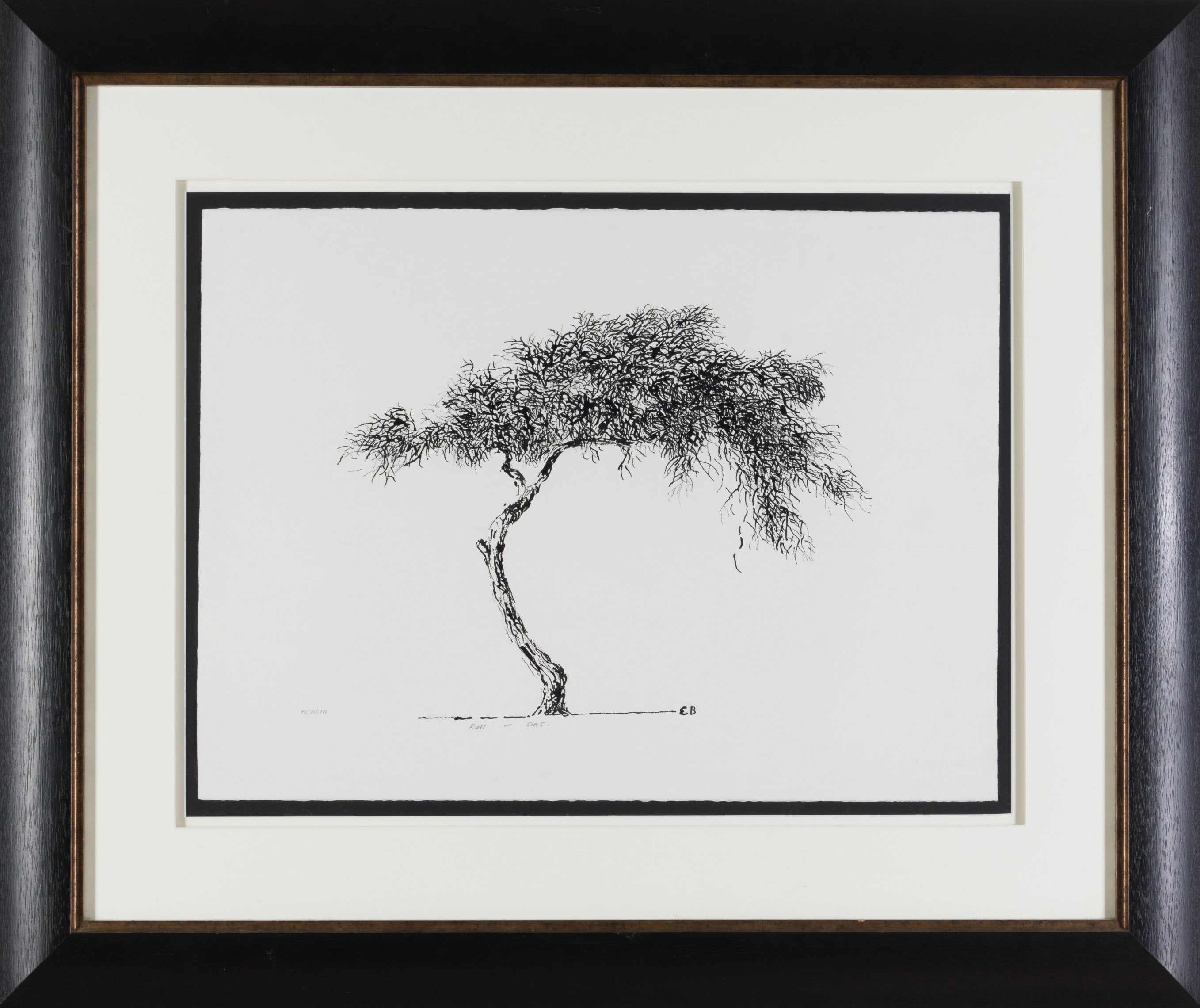 Acacia by Esias Bosch | Strauss & Co