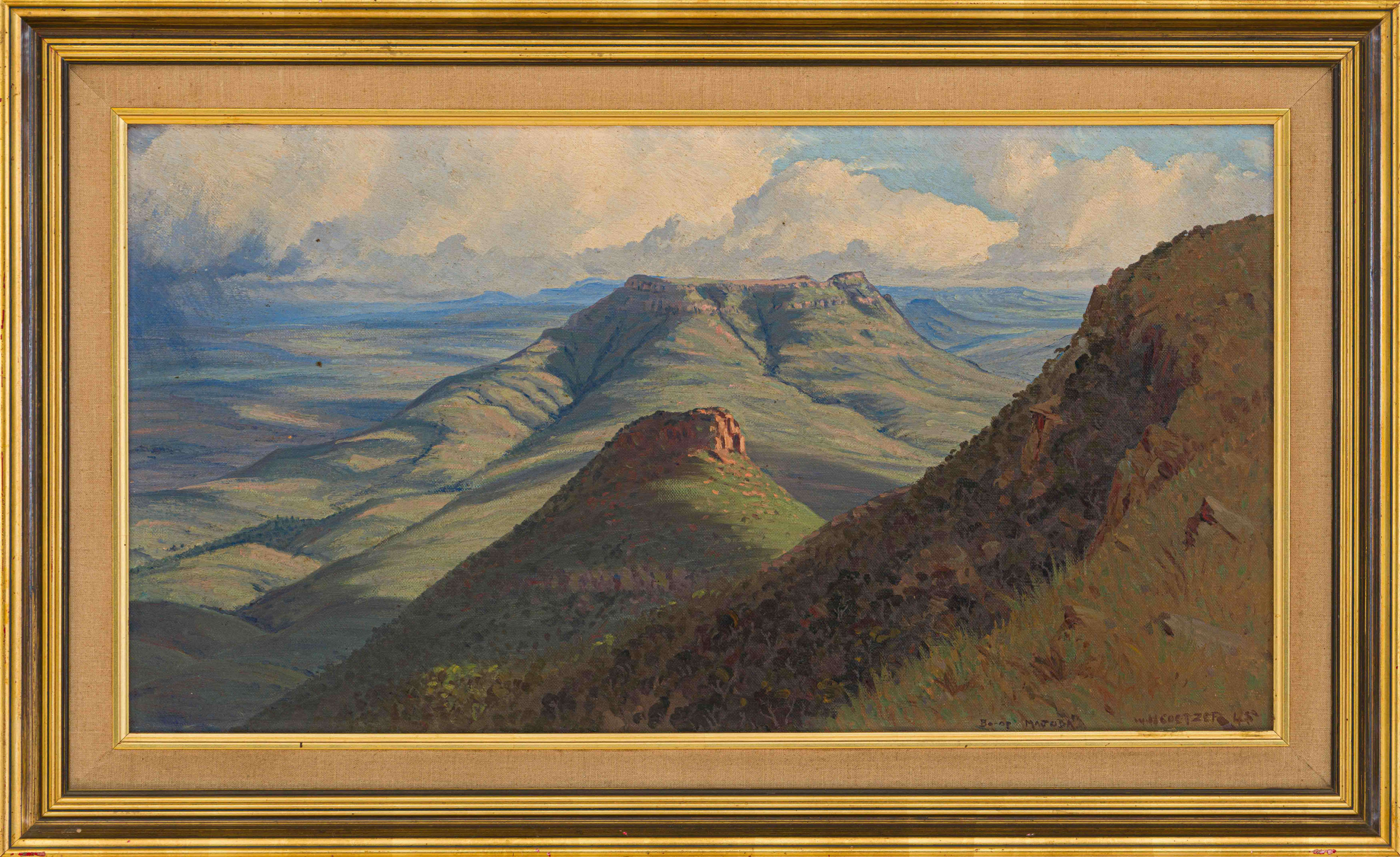 Bo op Majuba by Willem Hermanus Coetzer | Strauss & Co