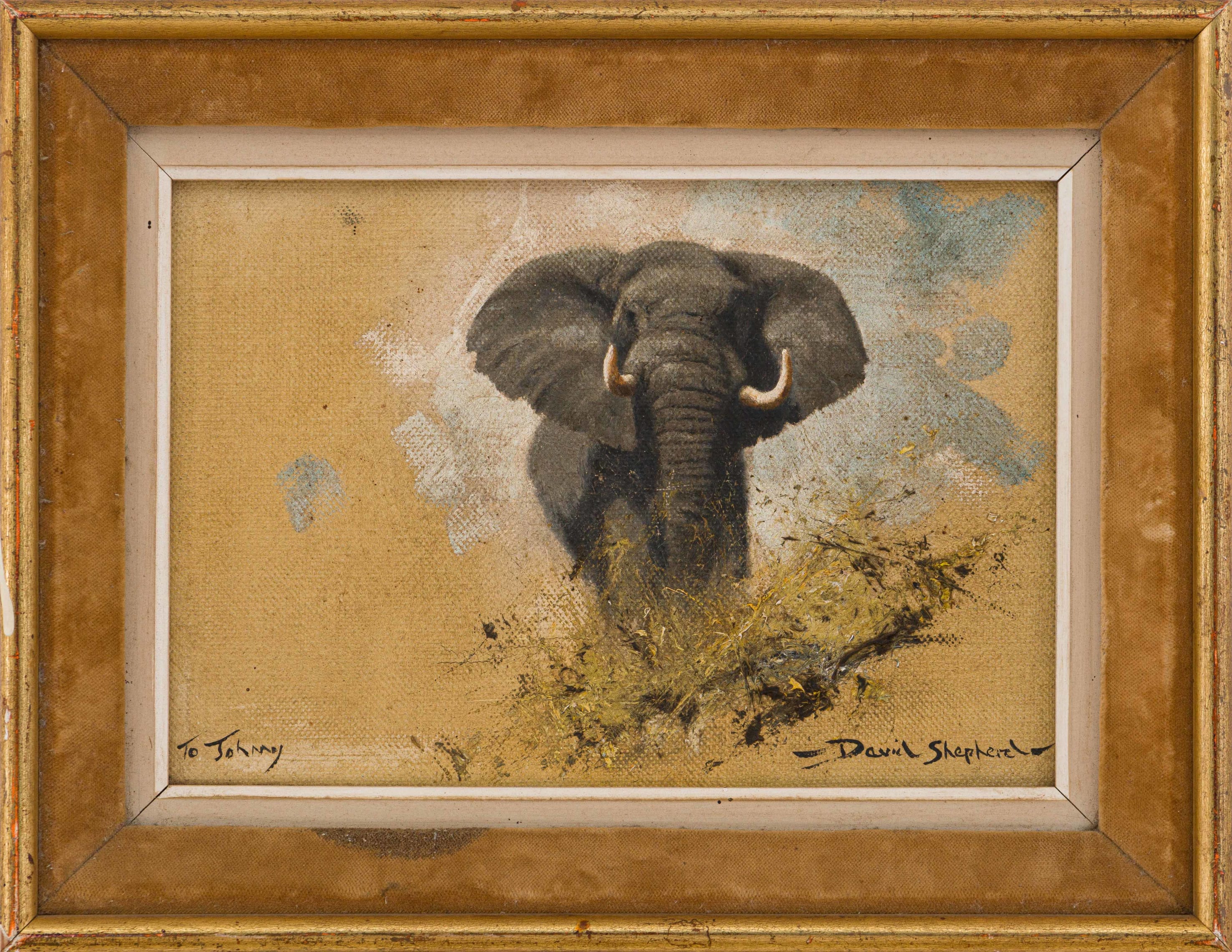 Elephant by David Shepherd | Strauss & Co