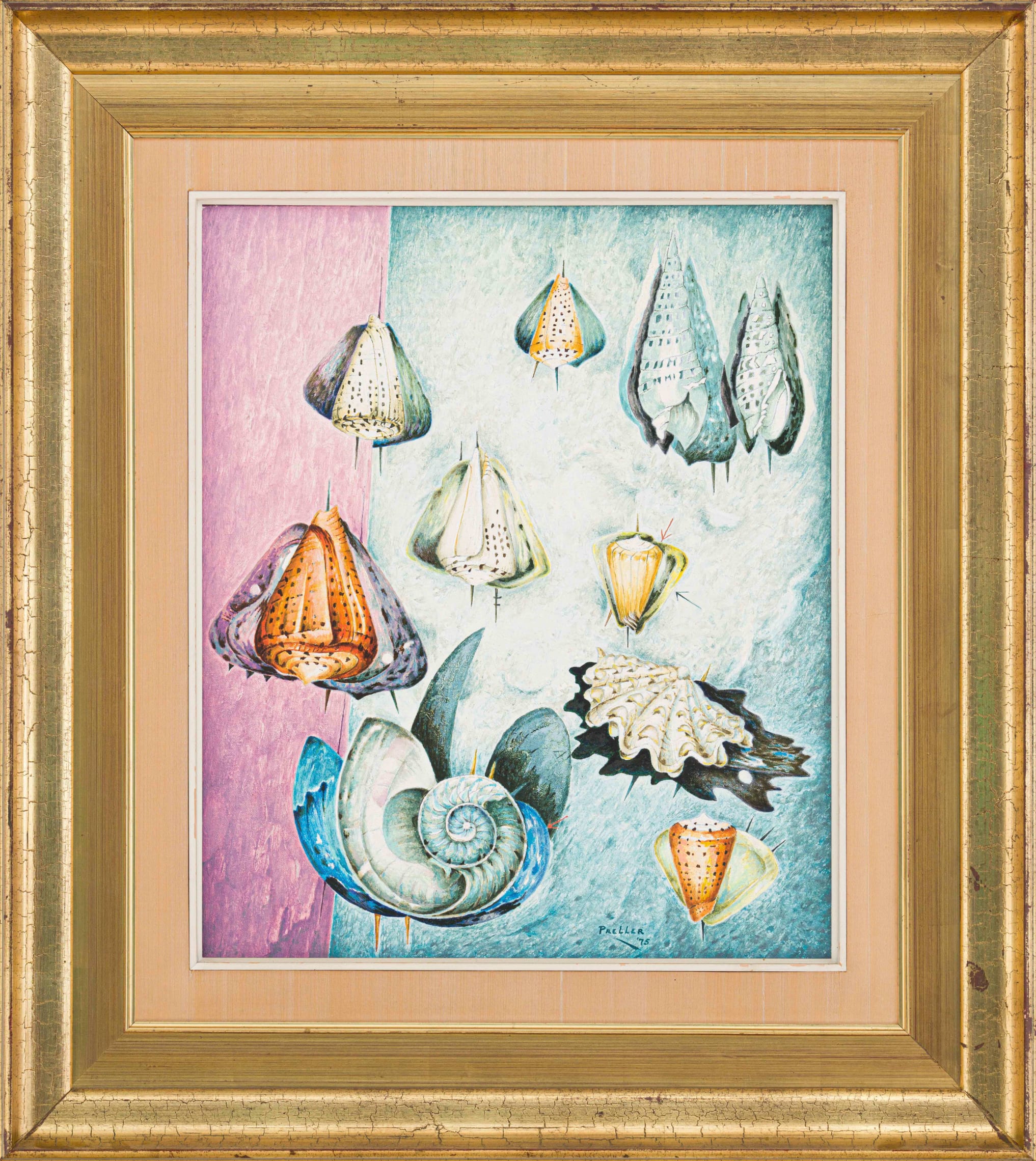 Shells by Alexis Preller | Strauss & Co