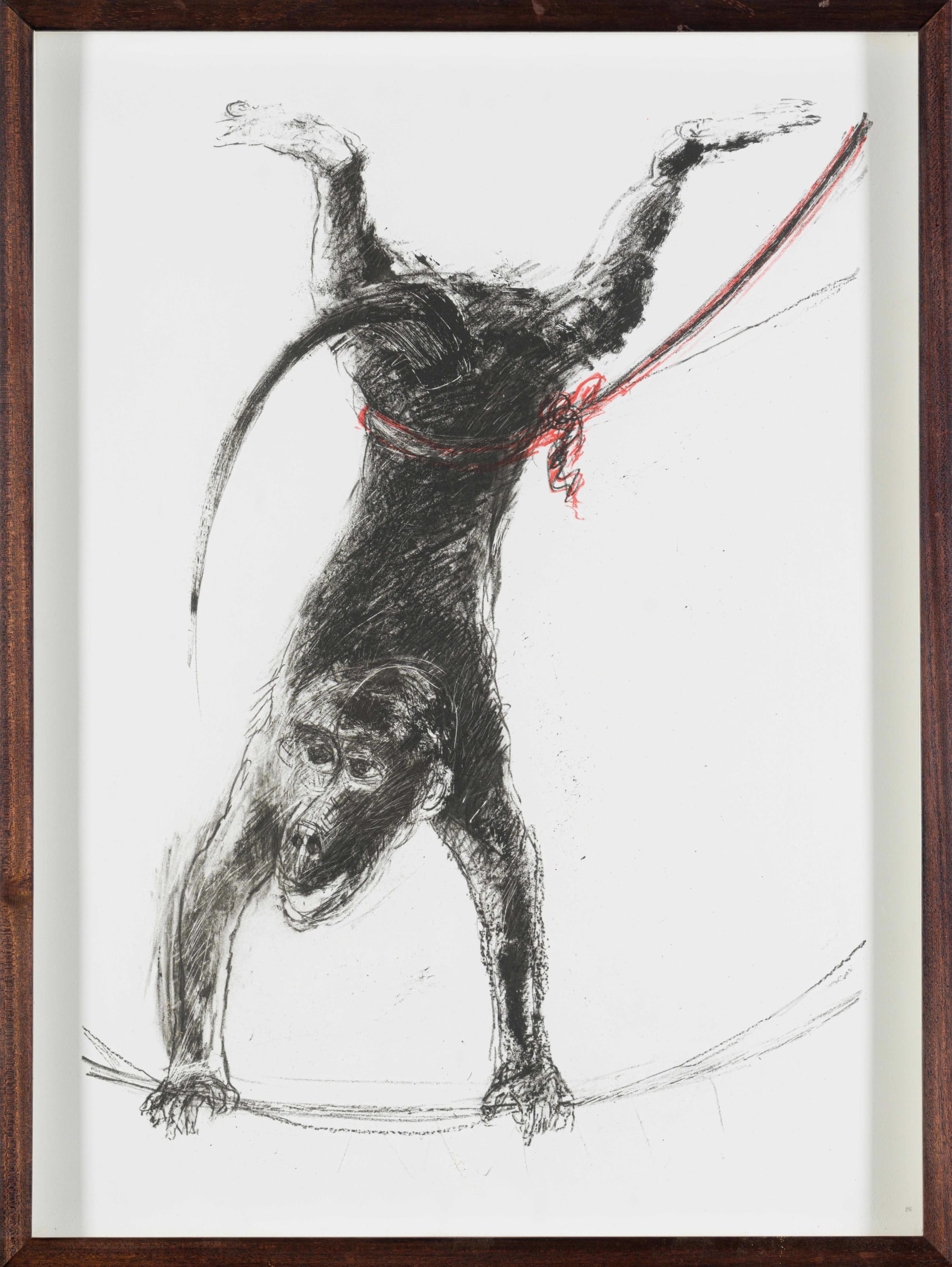 Ape by Albert Adams | Strauss & Co