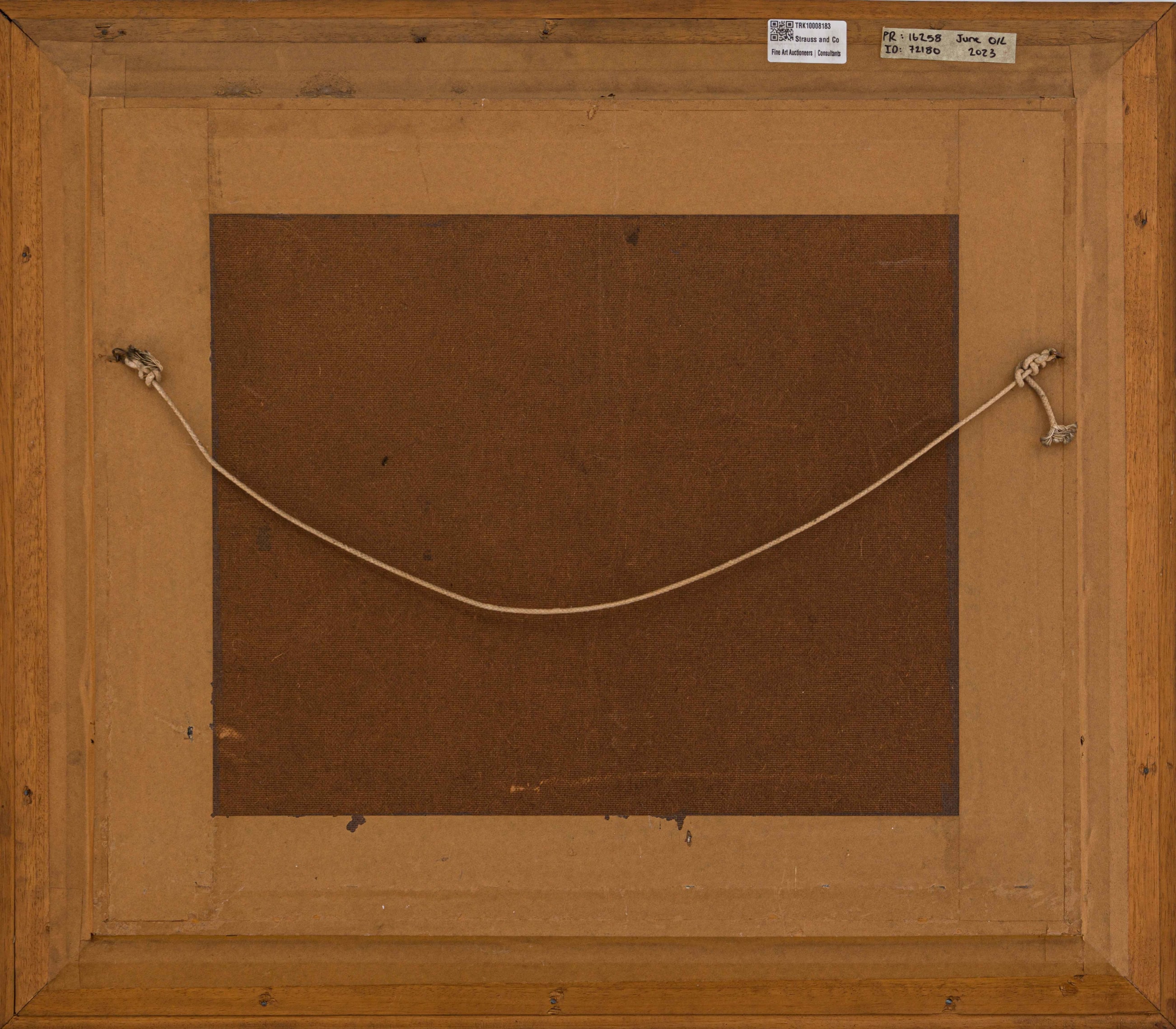 Dahlias by Emily Isabel Fern | Strauss & Co