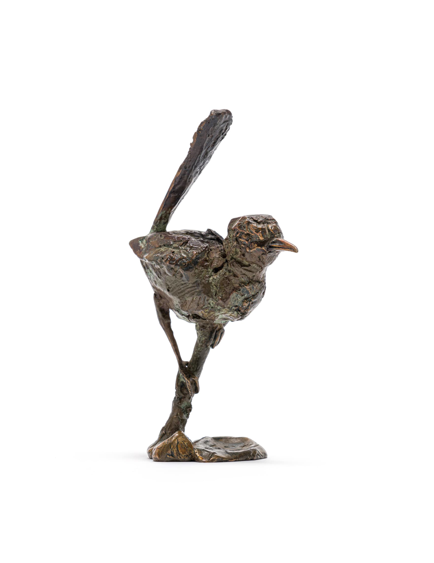 Neddicky by Alastair Barnes | Strauss & Co