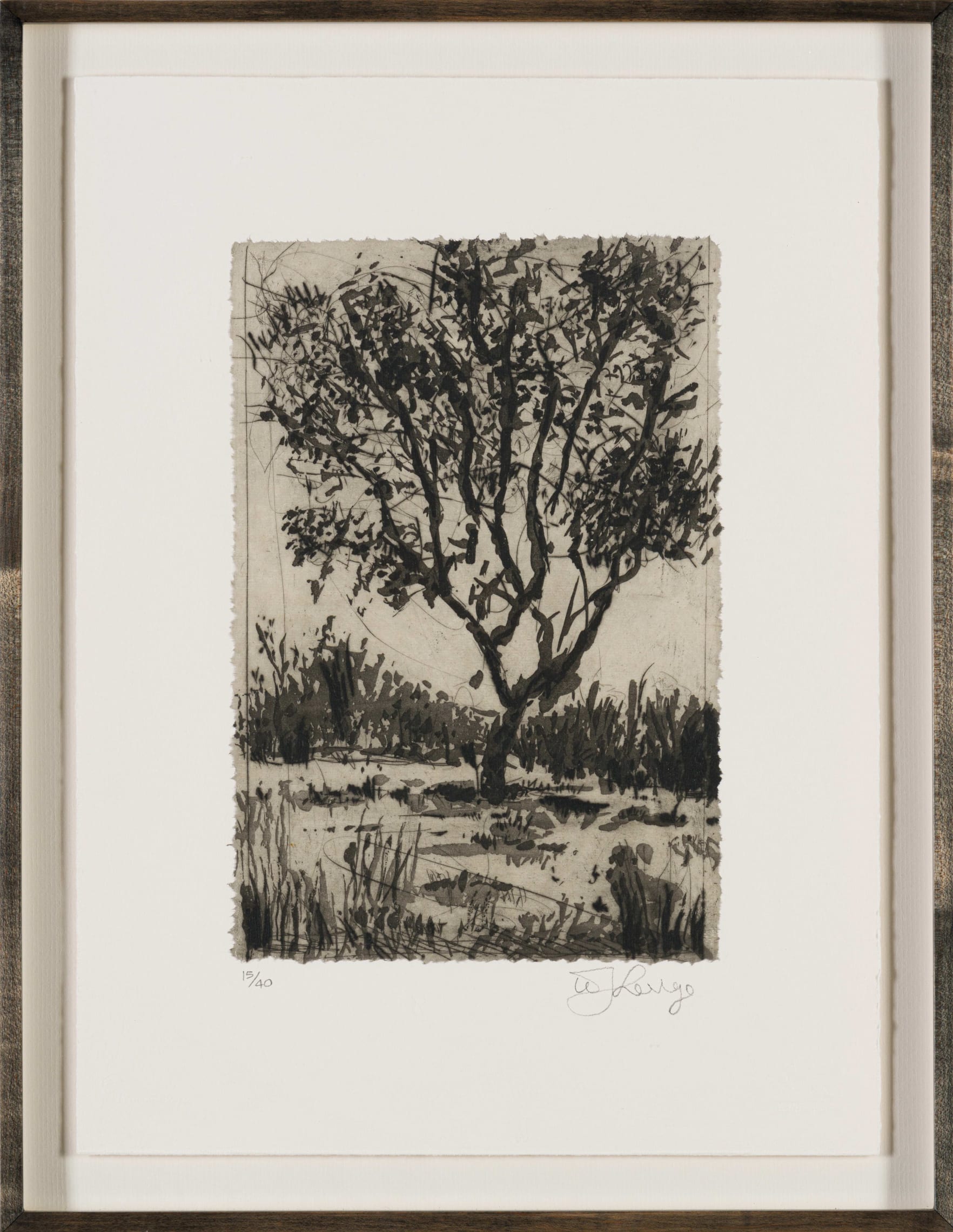 Tree by William Kentridge | Strauss & Co