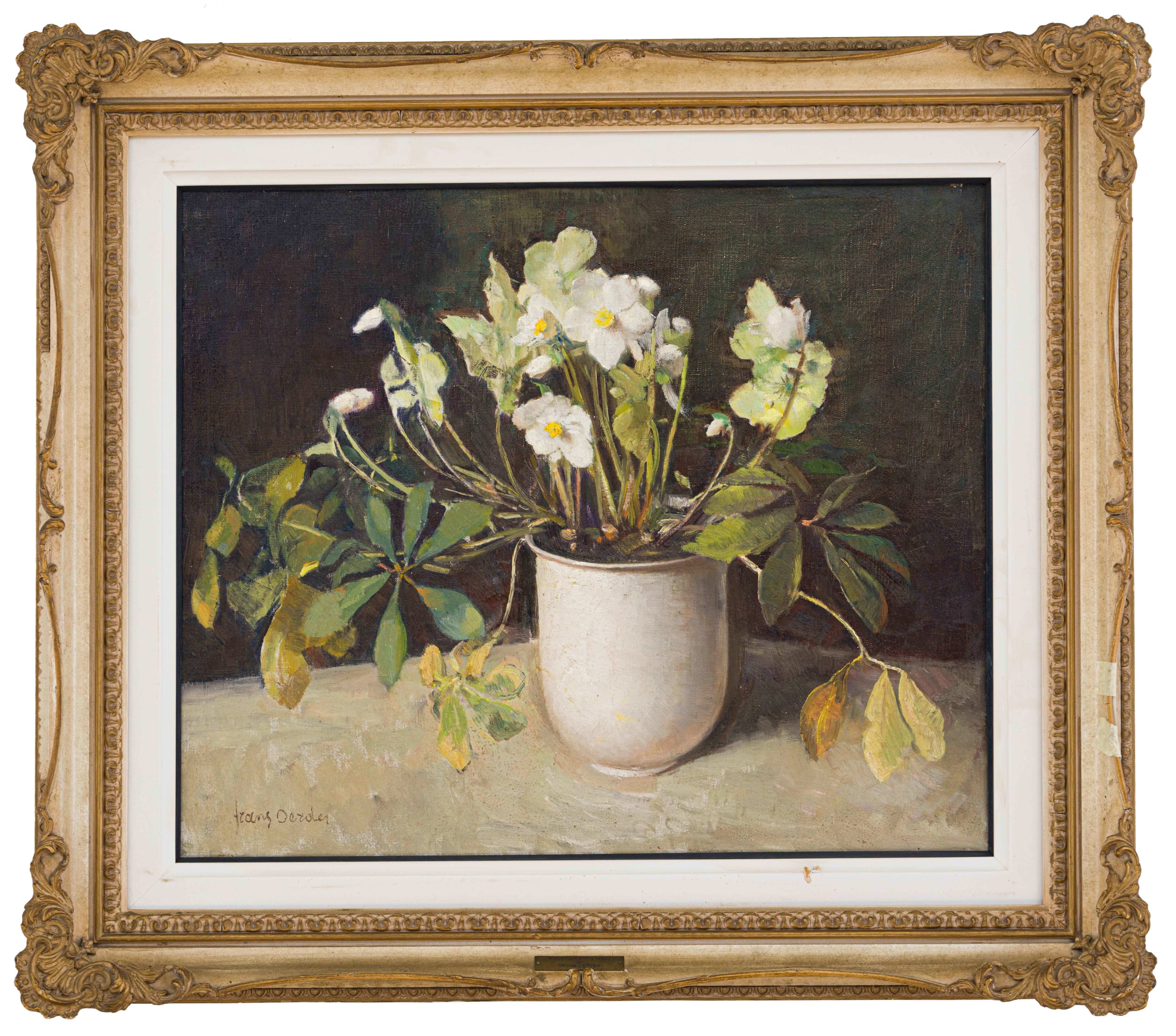 English Christmas Roses by Frans Oerder | Strauss & Co