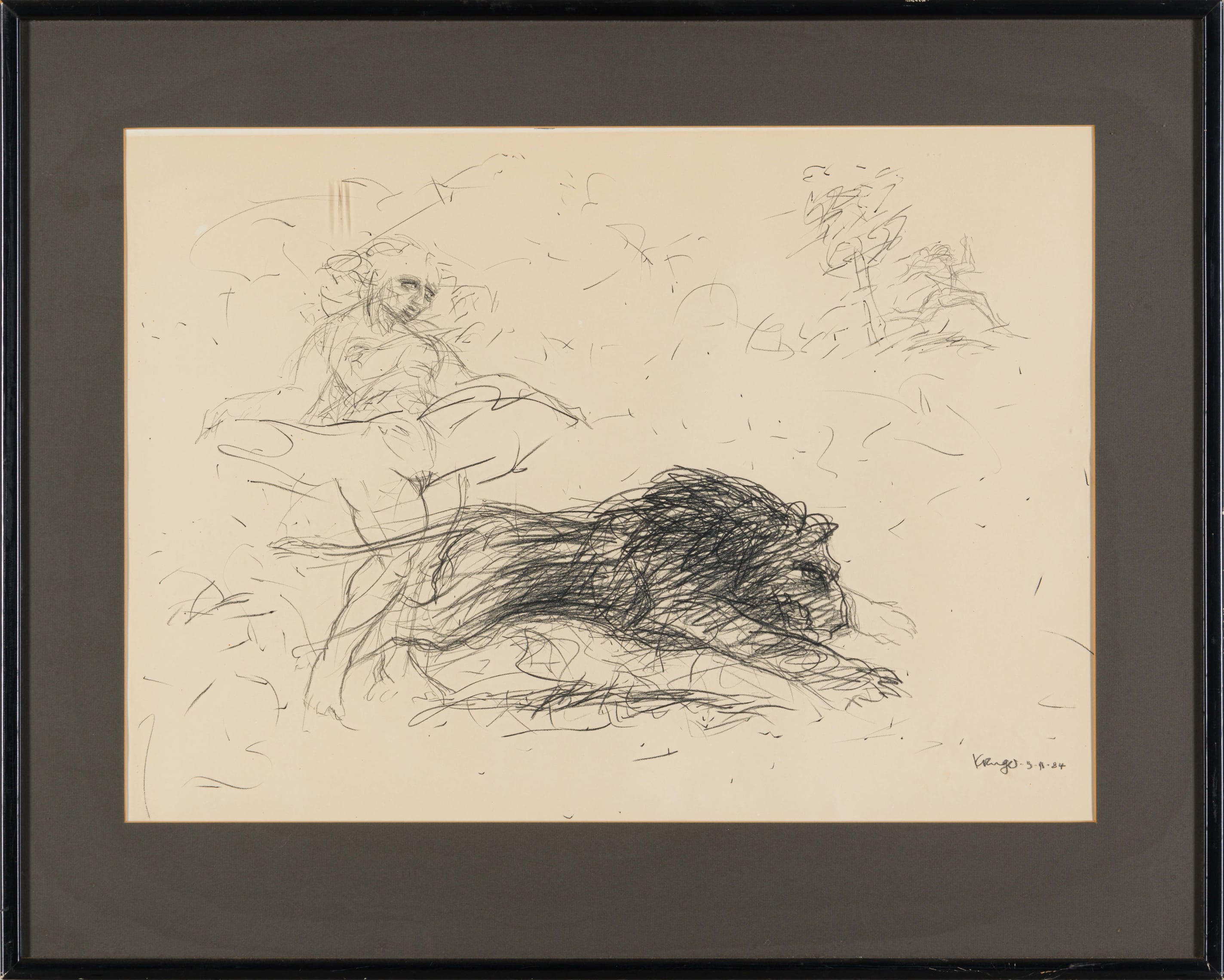 Lion by Braam Kruger | Strauss & Co