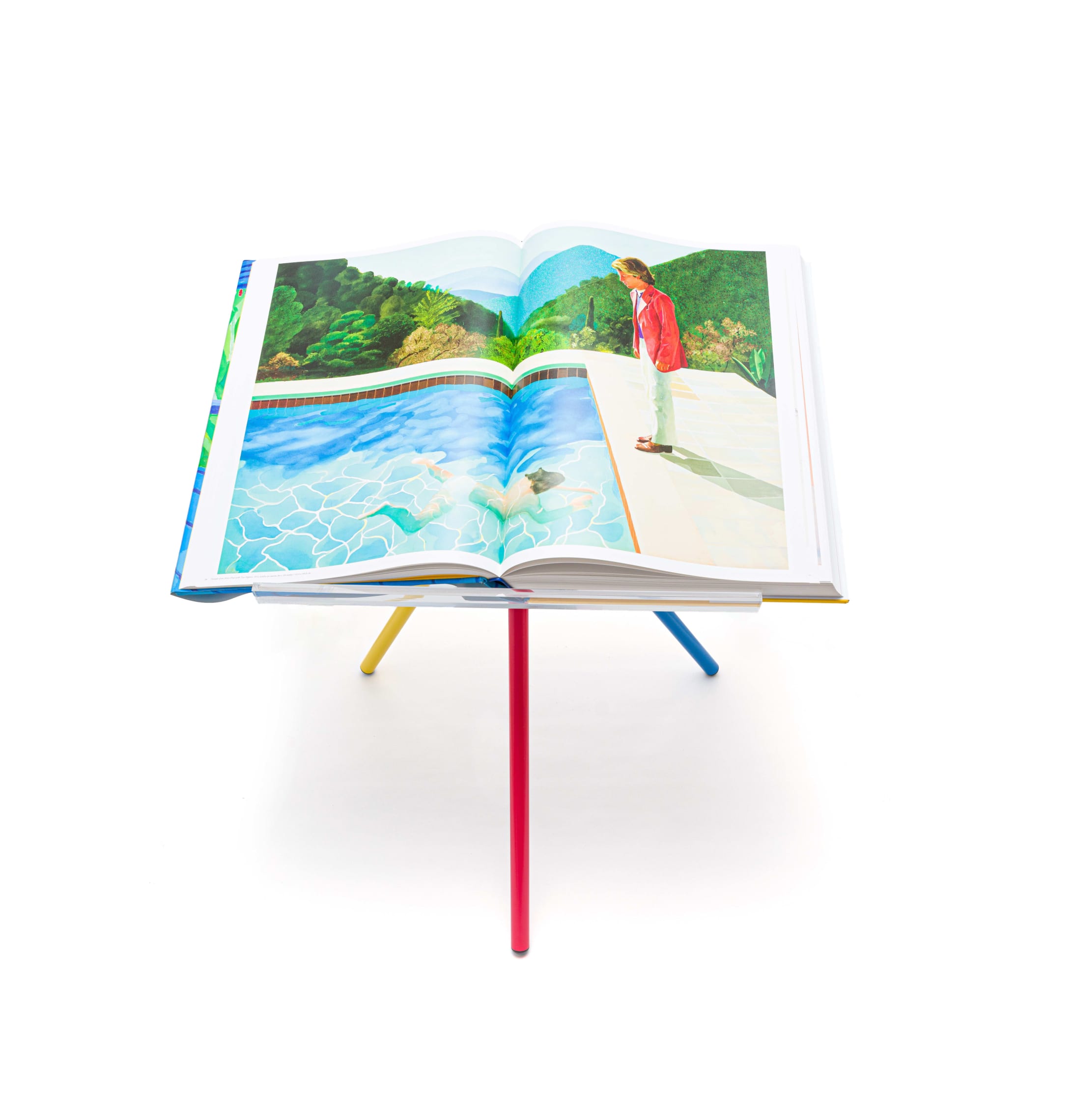 A Bigger Book by David Hockney | Strauss & Co