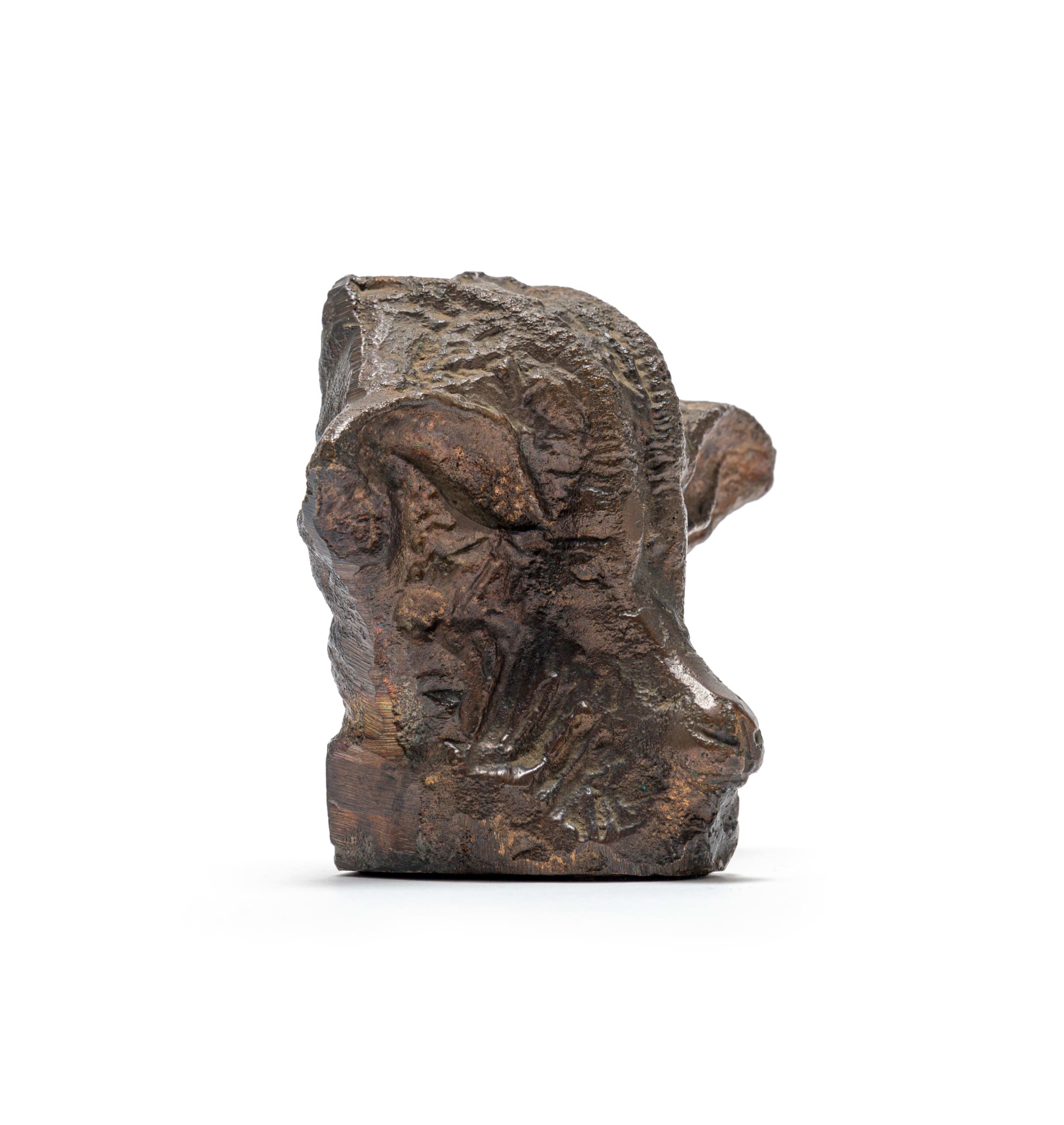 Goat by Keith Calder | Strauss & Co