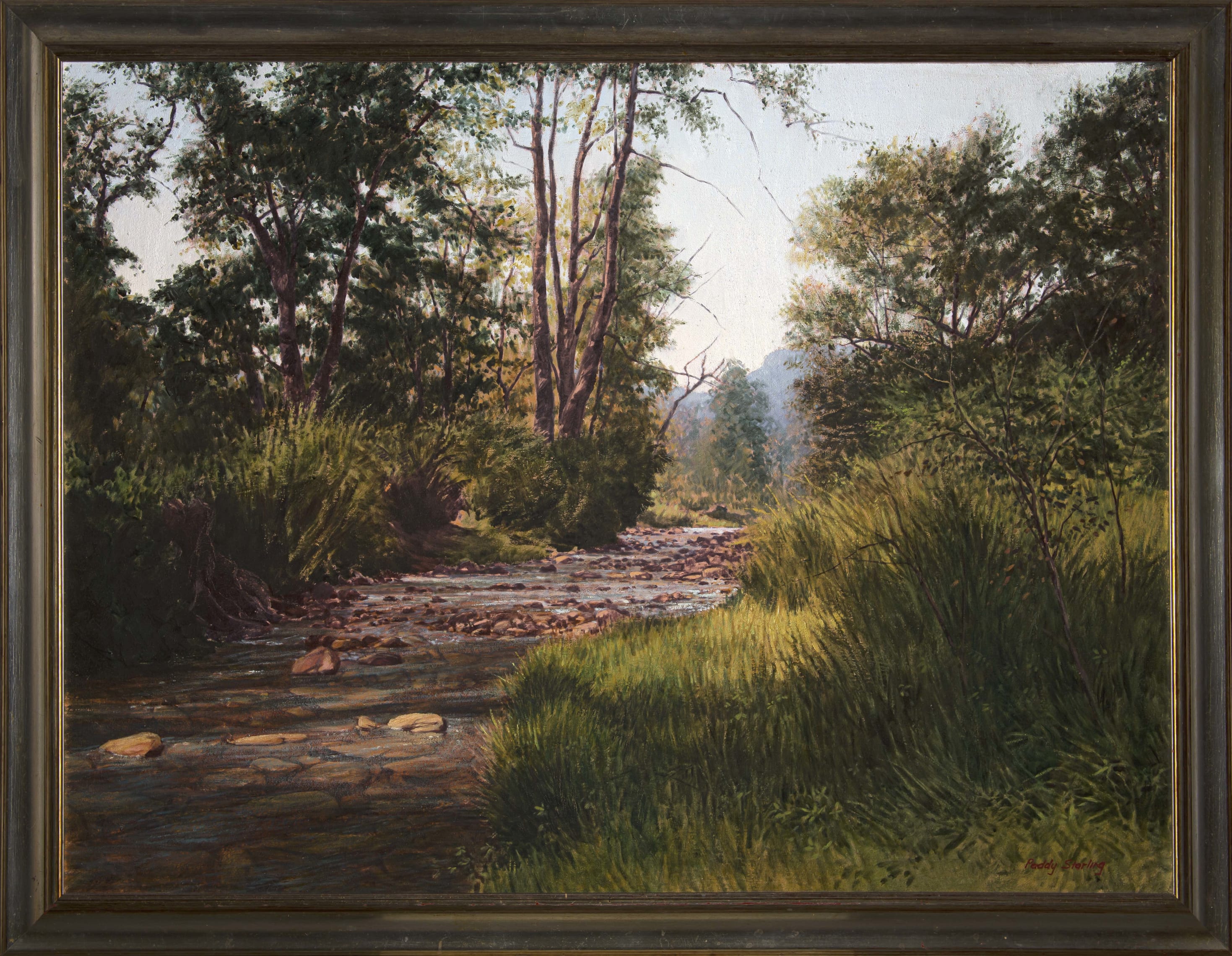 Forest Stream by Paddy Starling | Strauss & Co