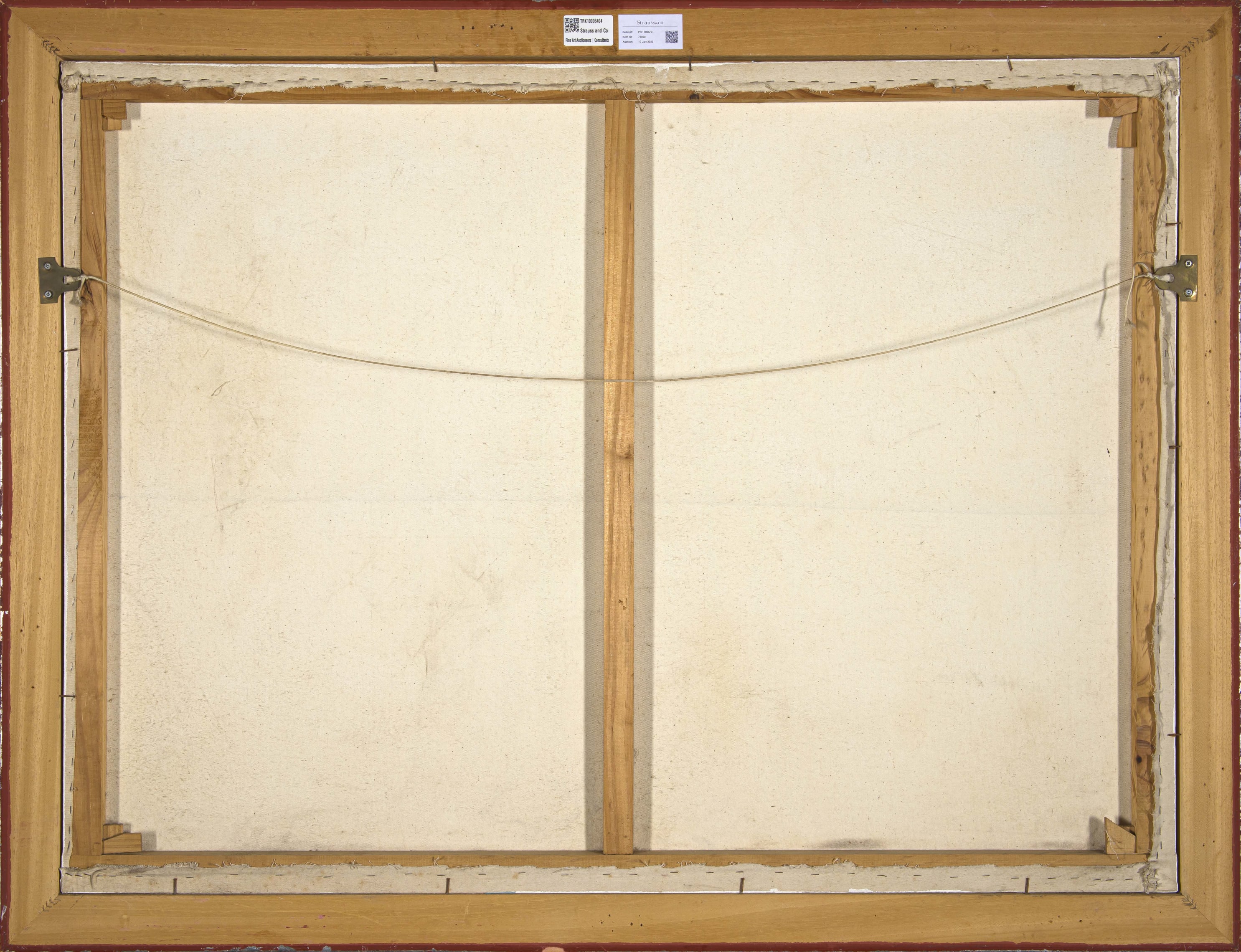 Forest Stream by Paddy Starling | Strauss & Co