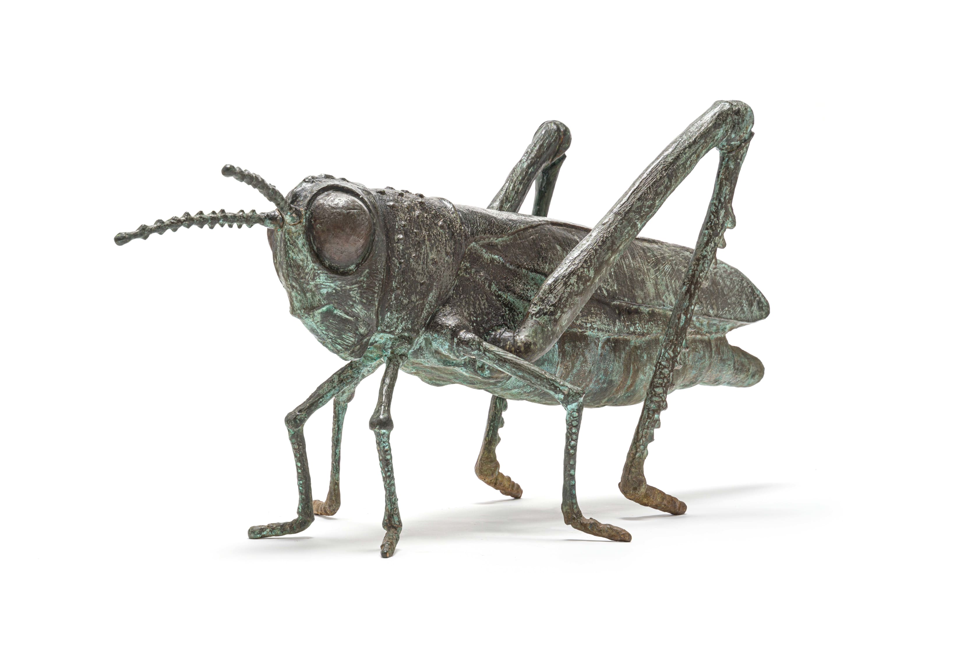 Locust by Robert (Bobby) Lawrence | Strauss & Co
