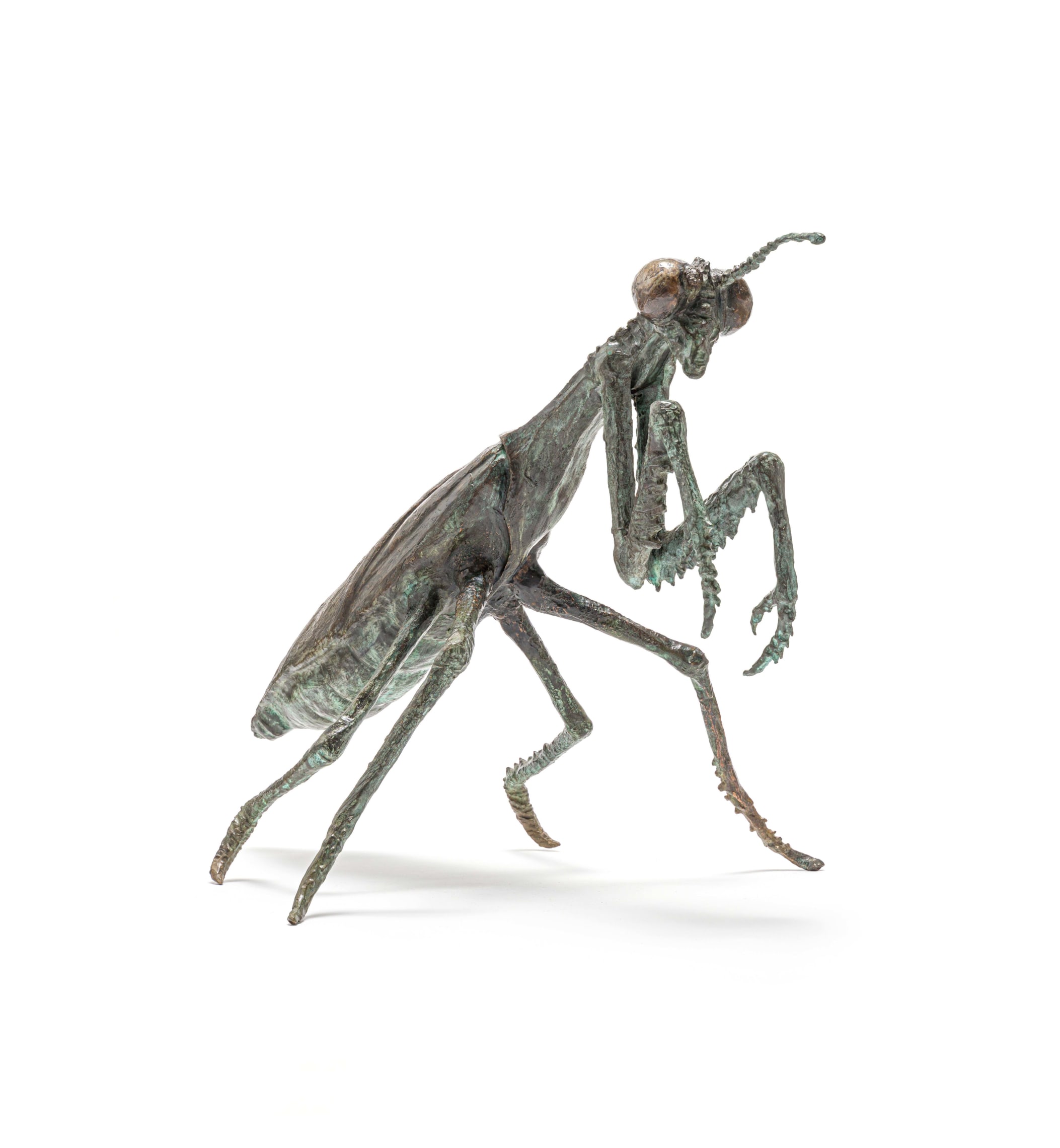 Praying Mantis by Robert (Bobby) Lawrence | Strauss & Co