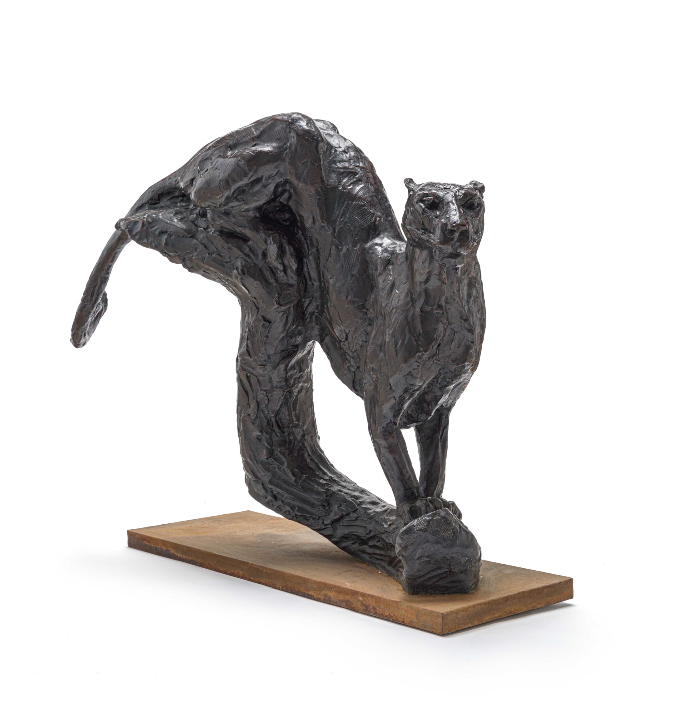 Watchful Leopard (S050) by Dylan Lewis | Strauss & Co