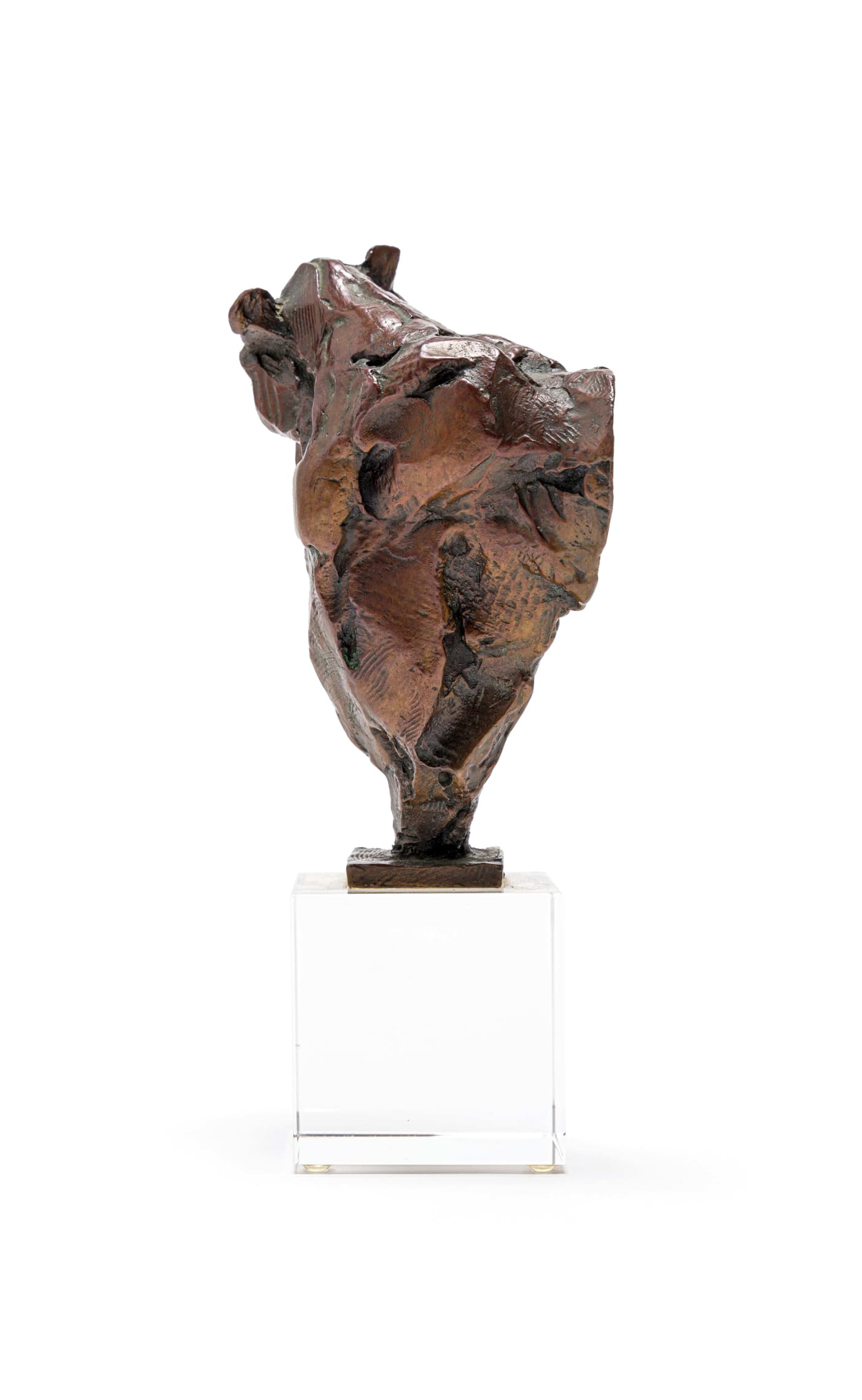Leopard Bust VIII Maquette (S201) by Dylan Lewis | Strauss & Co