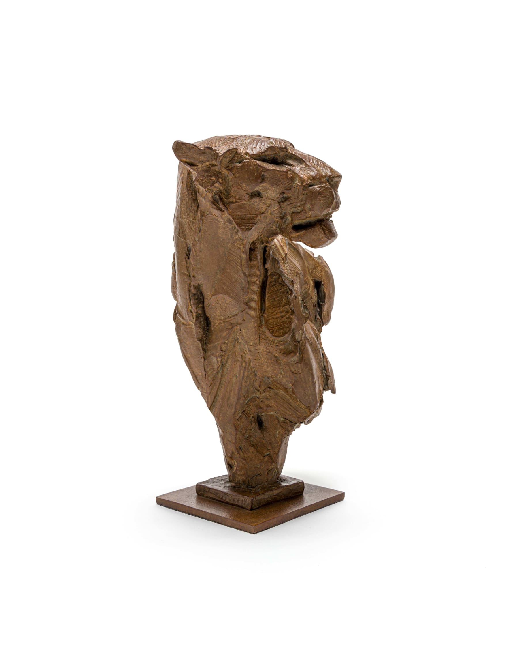 Lioness Bust Maquette (S216) by Dylan Lewis | Strauss & Co