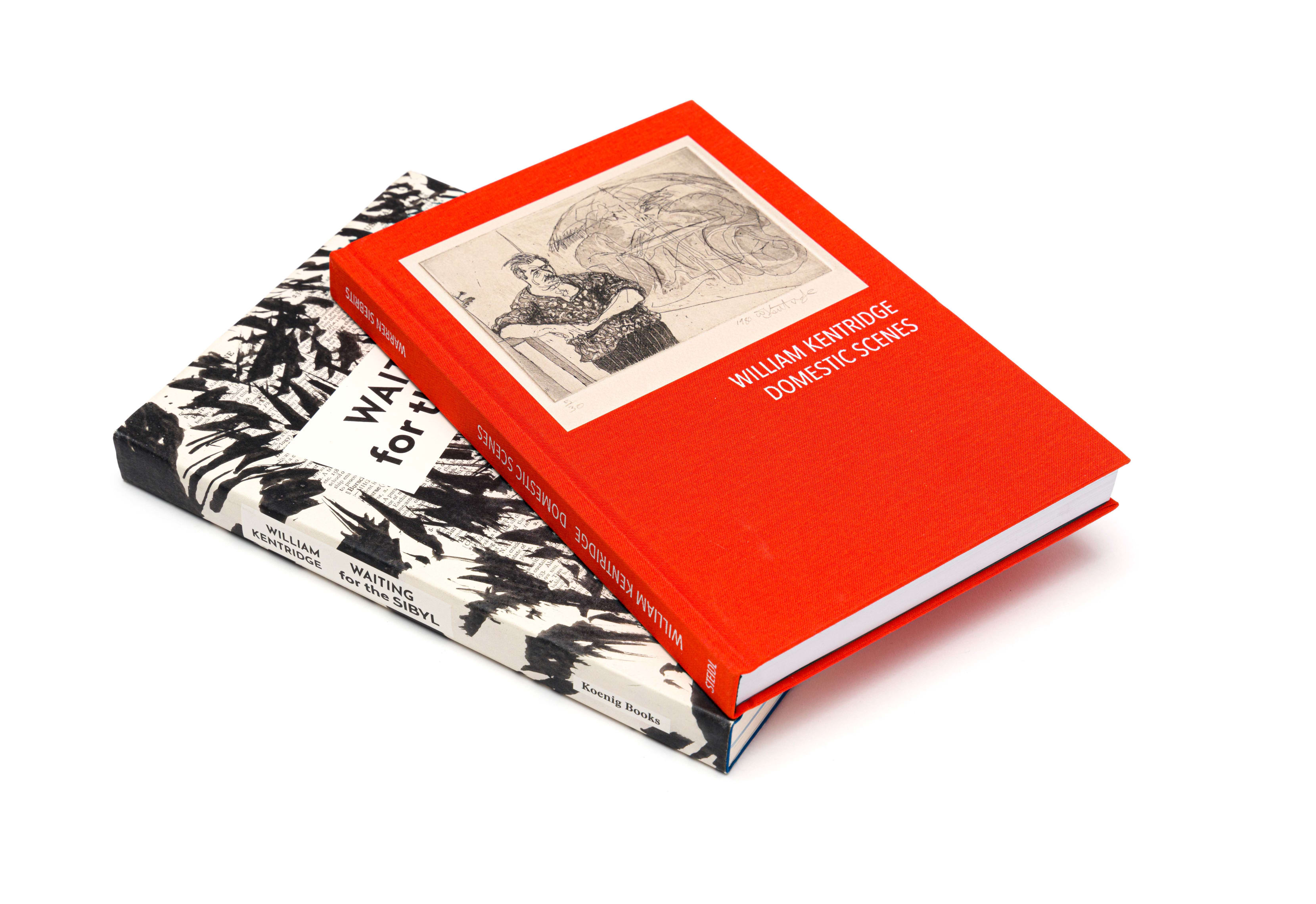 Warren Siebrits and William Kentridge; William Kentridge Domestic ...