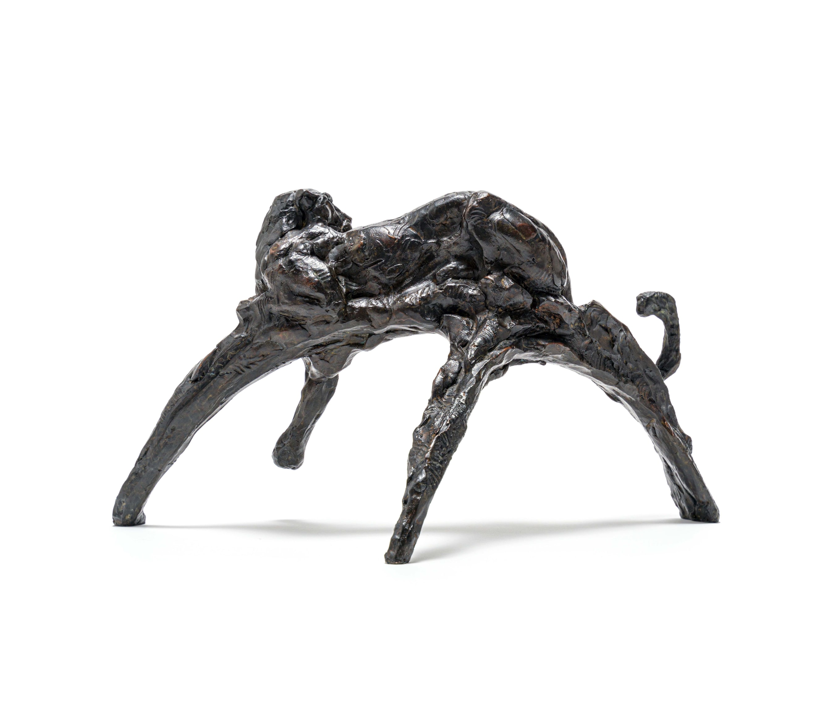 Resting Leopard Maquette, (S450) by Dylan Lewis | Strauss & Co