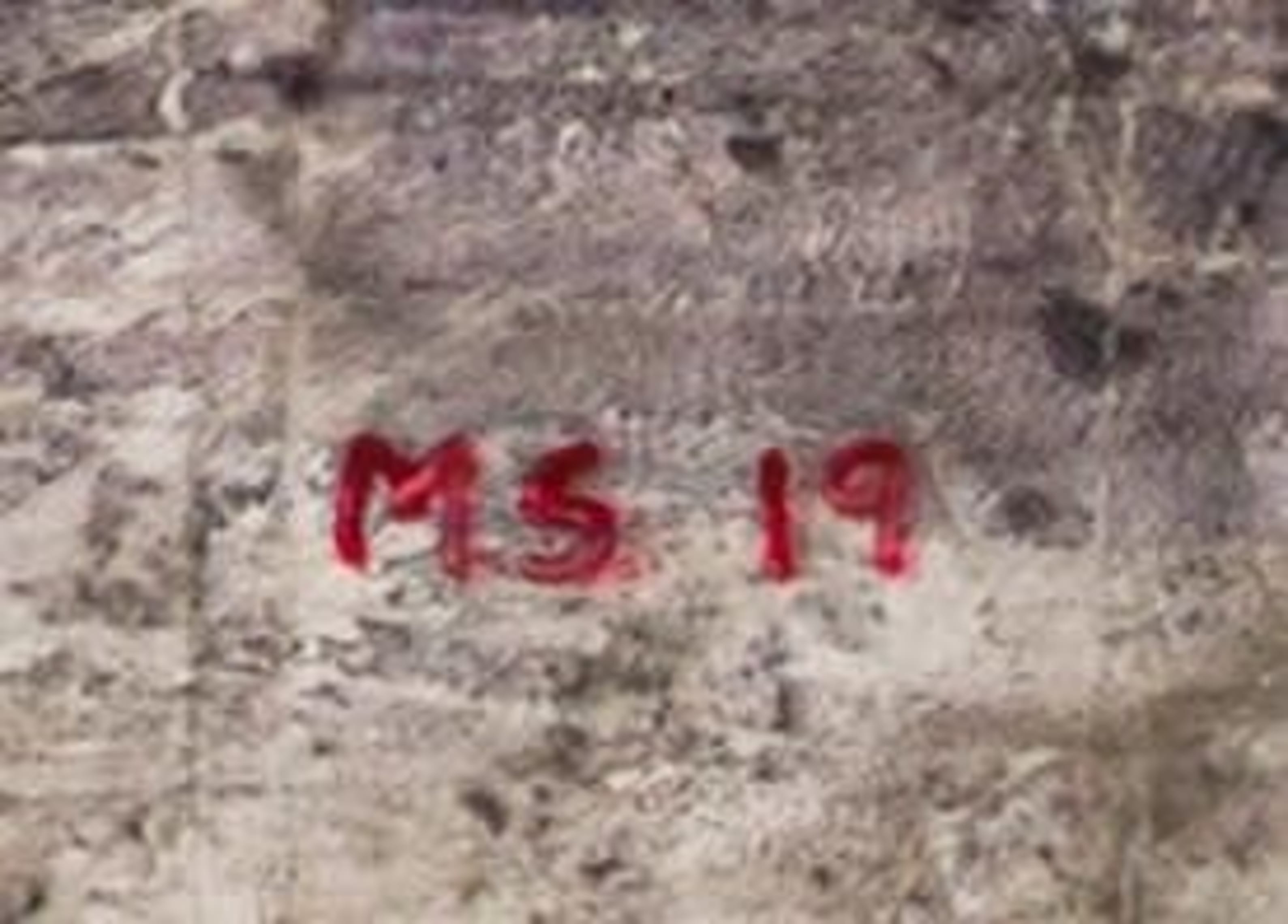 Calhoun II by Mikhael Subotzky | Strauss & Co