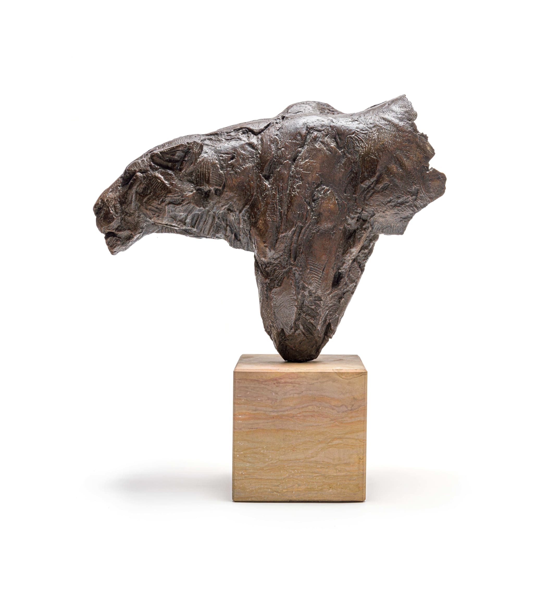 Lioness Bust (S148) by Dylan Lewis | Strauss & Co