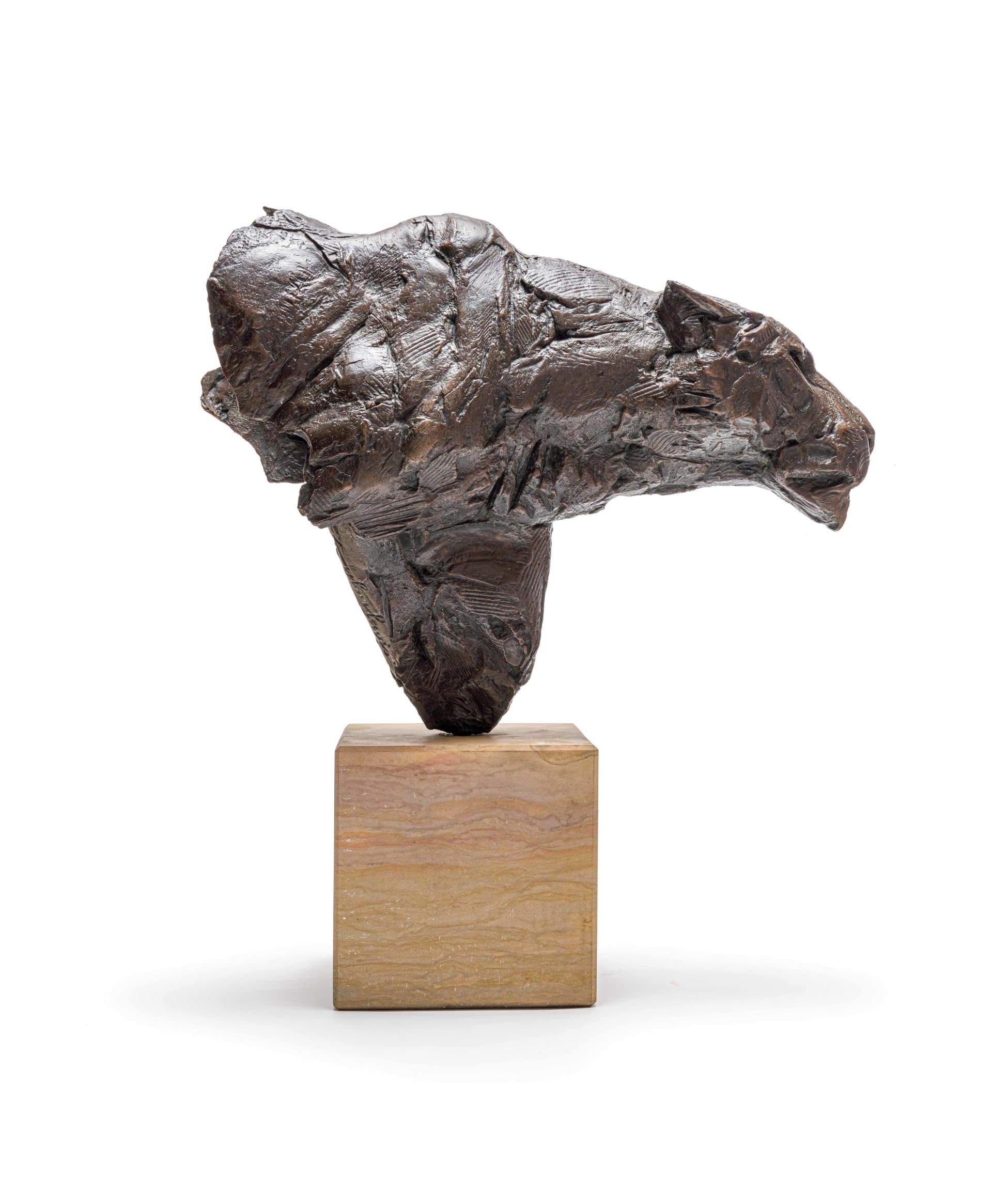 Lioness Bust (S148) by Dylan Lewis | Strauss & Co