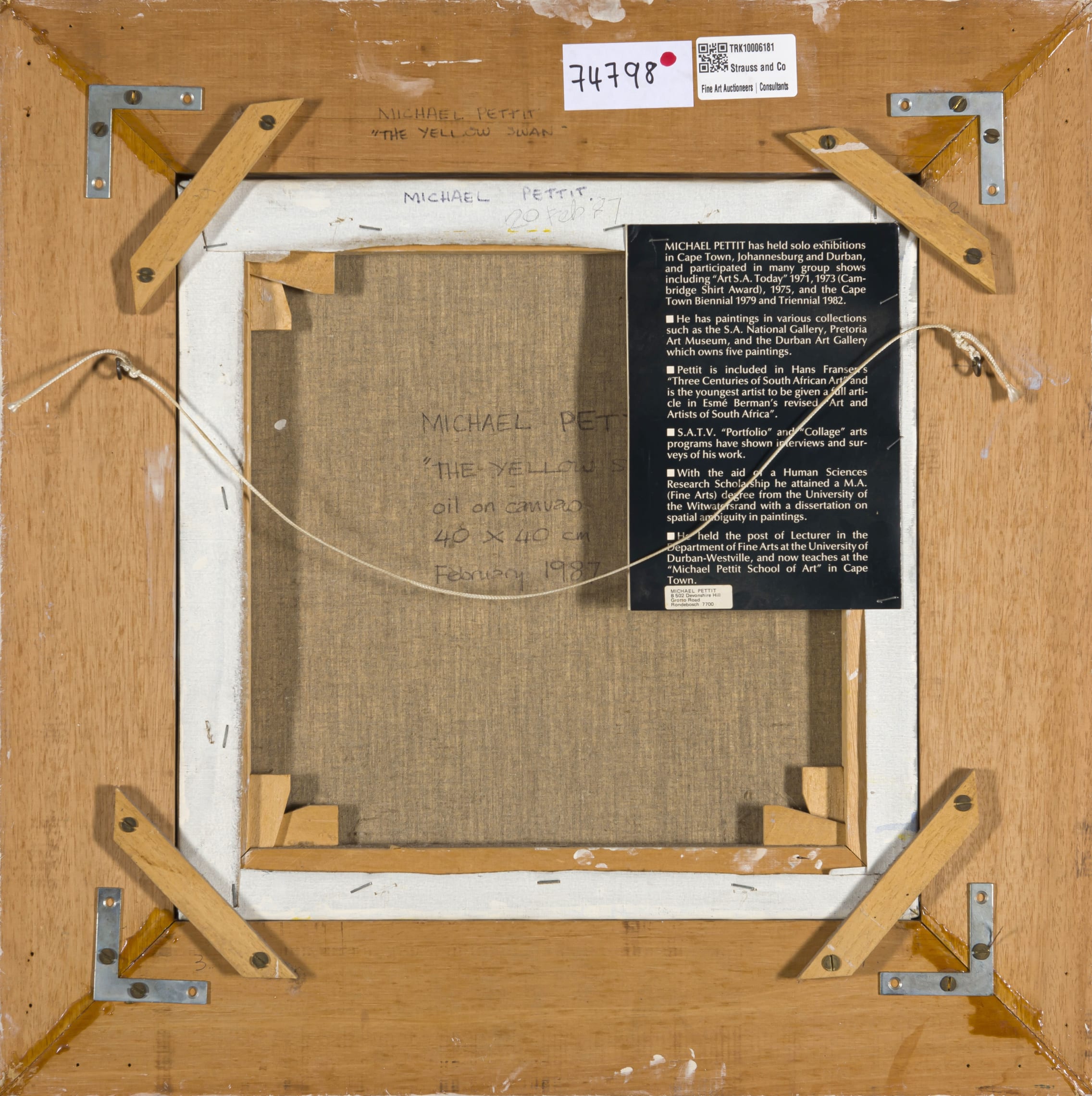 The Yellow Swan by Michael Pettit | Strauss & Co