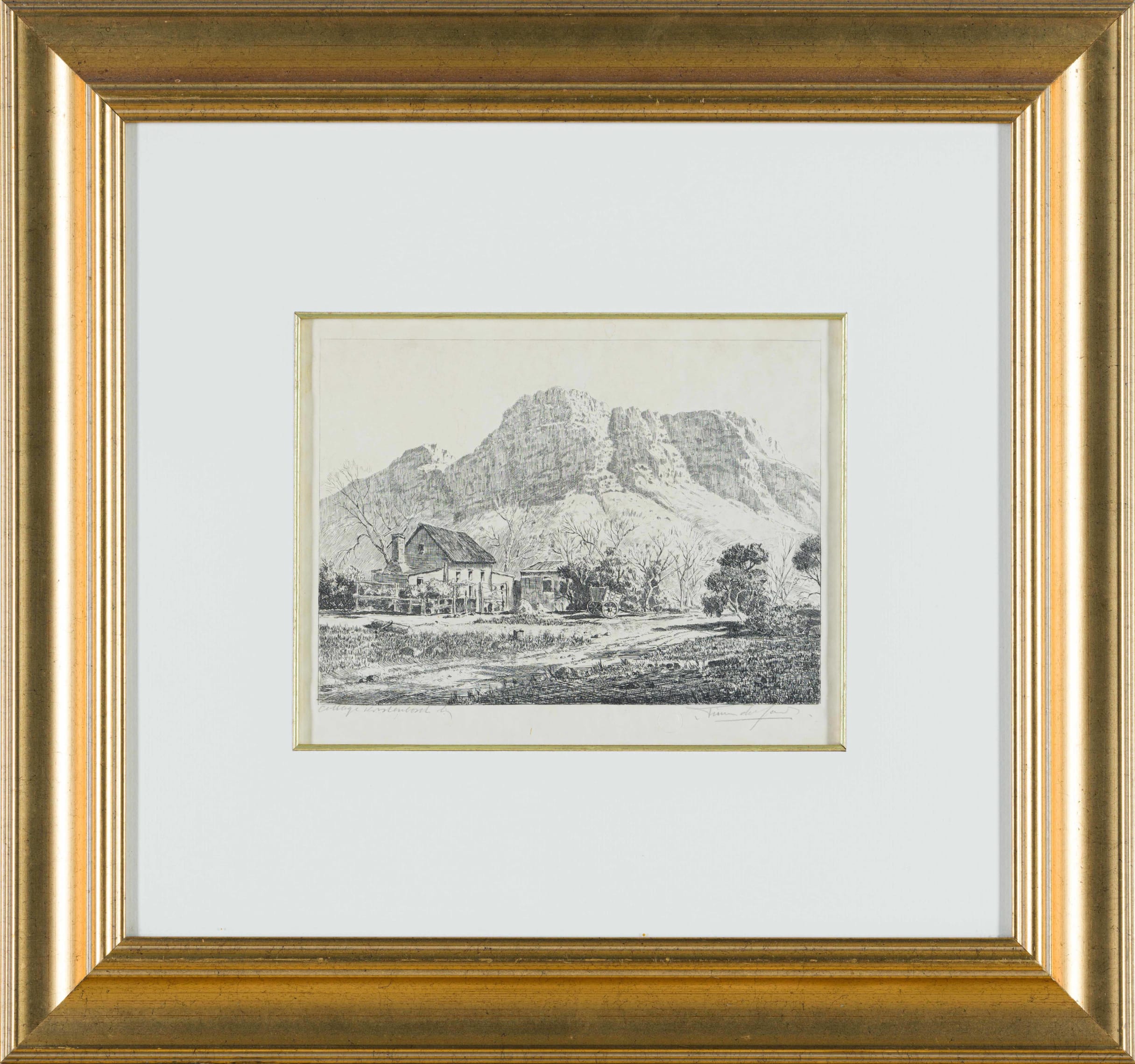Cottage Kirstenbosch by Tinus de Jongh | Strauss & Co