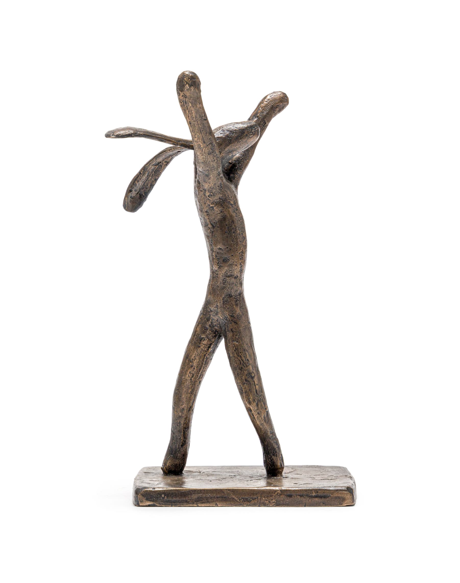 Triumphant Hare by Guy du Toit | Strauss & Co